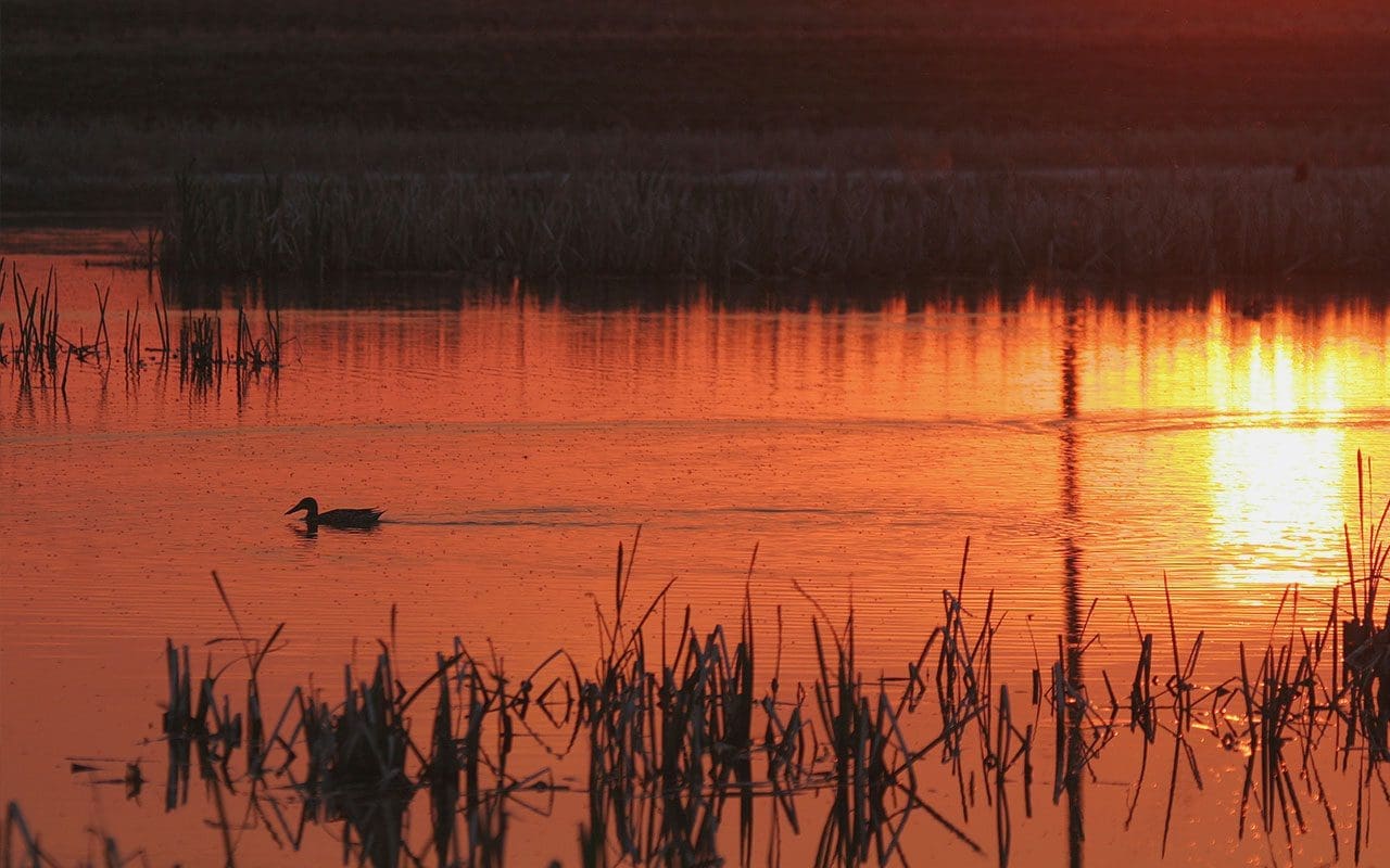 Partnerships — Ducks Unlimited Canada