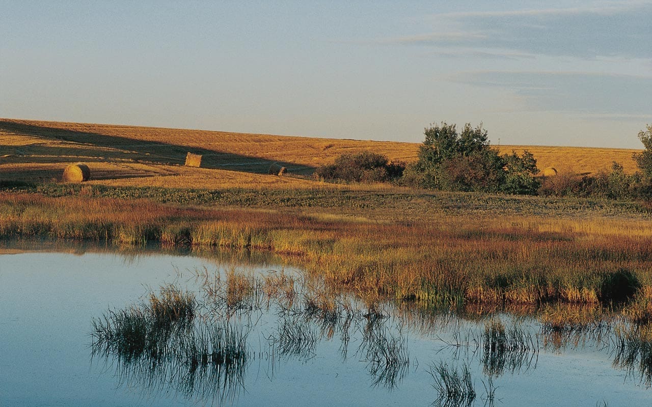 Région des fondrières des Prairies - Canards Illimités Canada