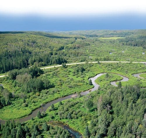 Operational Guide for Forest Road Wetland Crossings — Ducks Unlimited ...