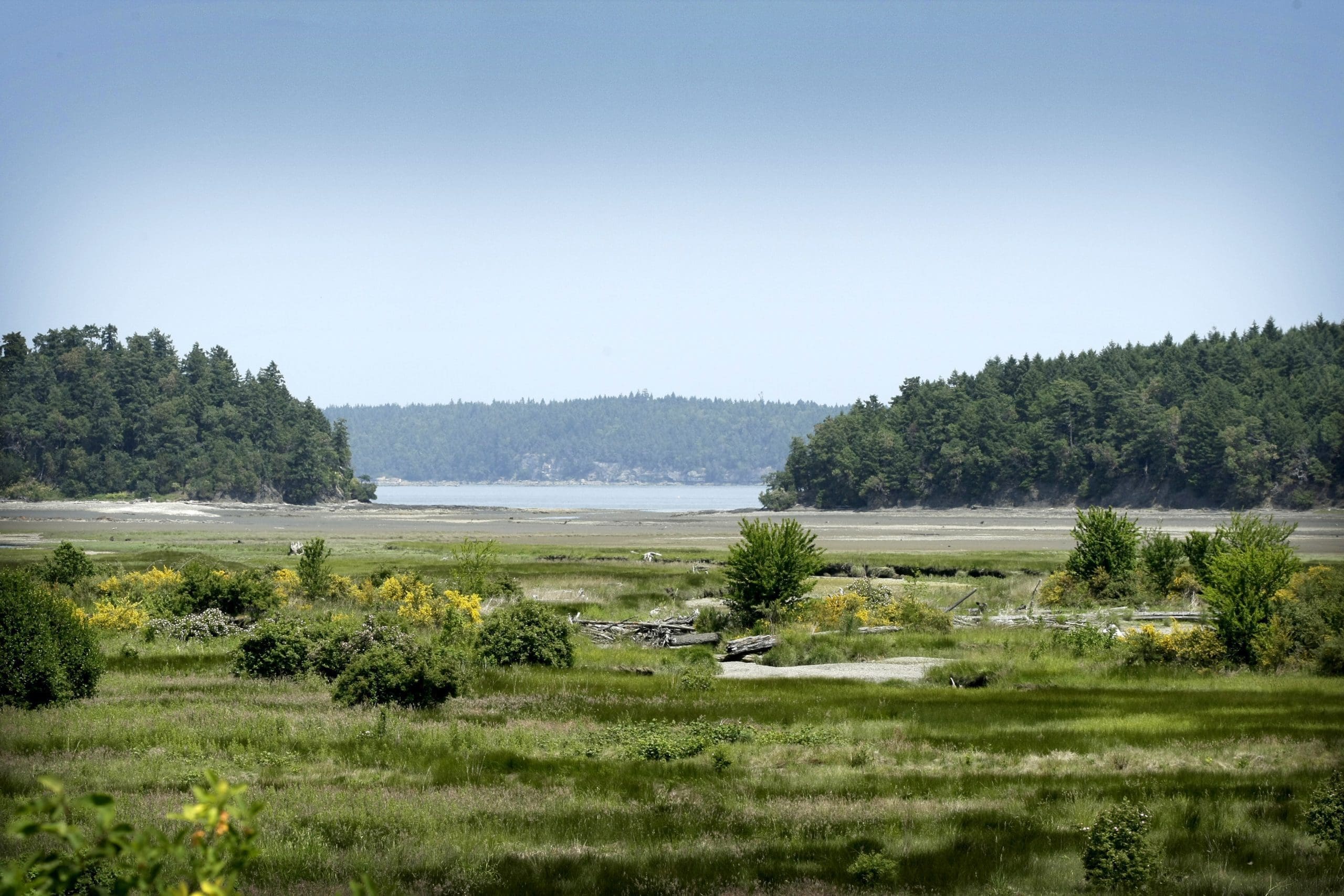 Wetland and Estuary Acquisition — Ducks Unlimited Canada