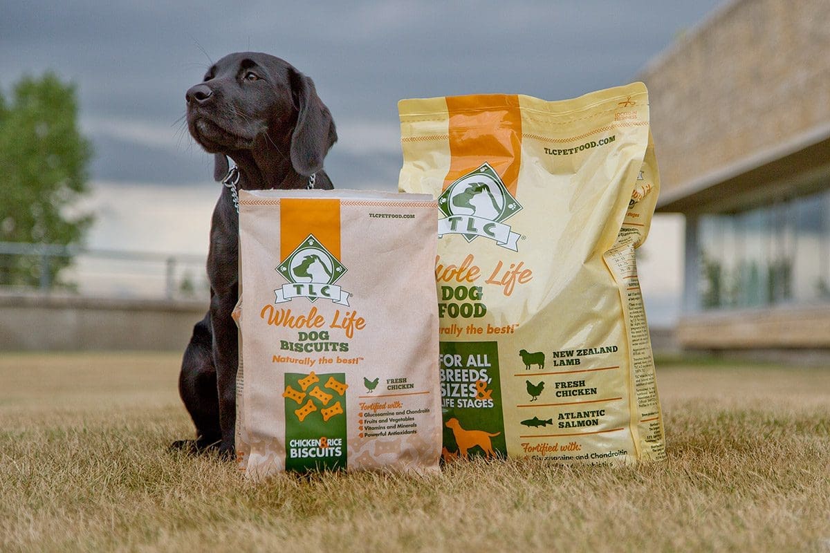 Putting our best paw forward for conservation — Ducks Unlimited Canada