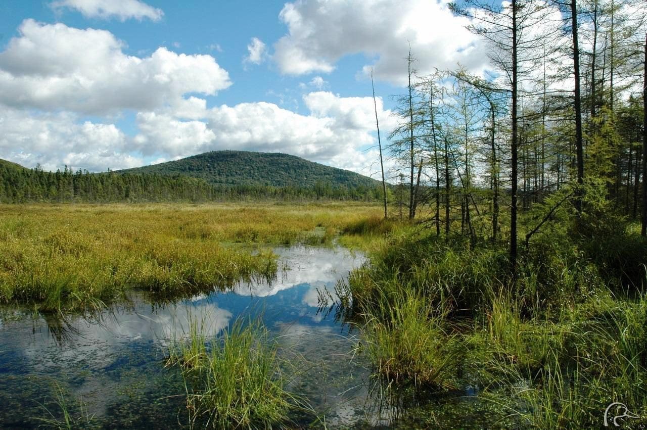 New detailed wetland mapping tools now available in Quebec - DUC