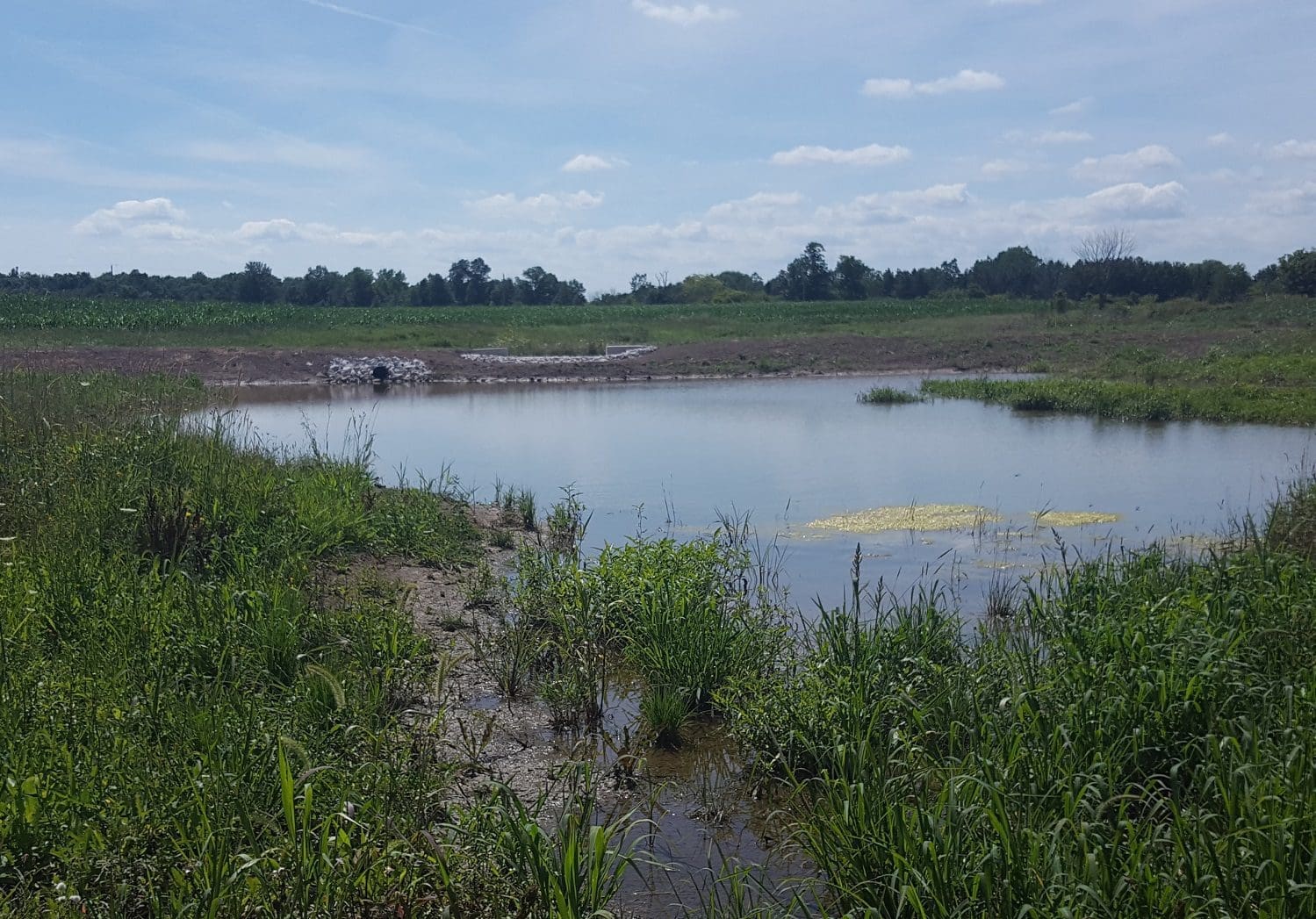 Ducks Unlimited Canada Builds Rural Wetlands that Improve Water Quality ...