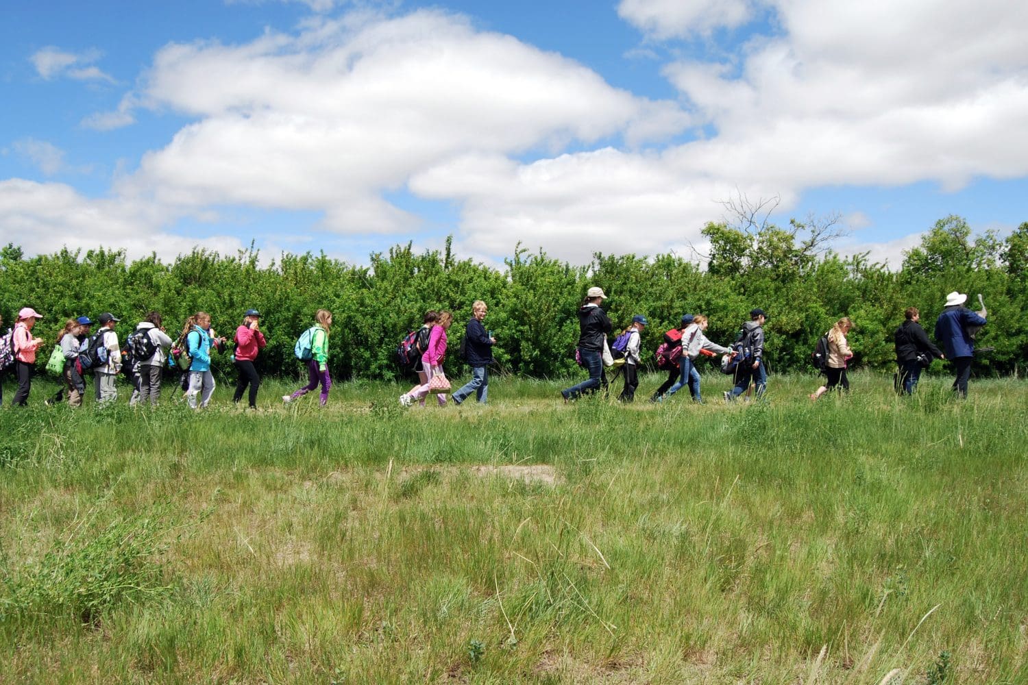 Explore Wetlands in Saskatchewan — Ducks Unlimited Canada