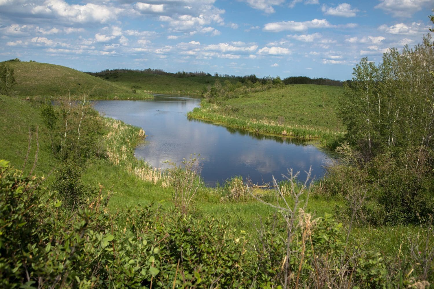 Fueling conservation on the Prairies — Ducks Unlimited Canada