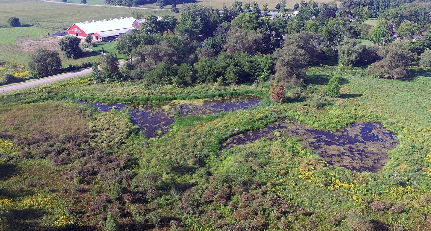 Family’s natural legacy lives on at Norwich Township farm — Ducks ...
