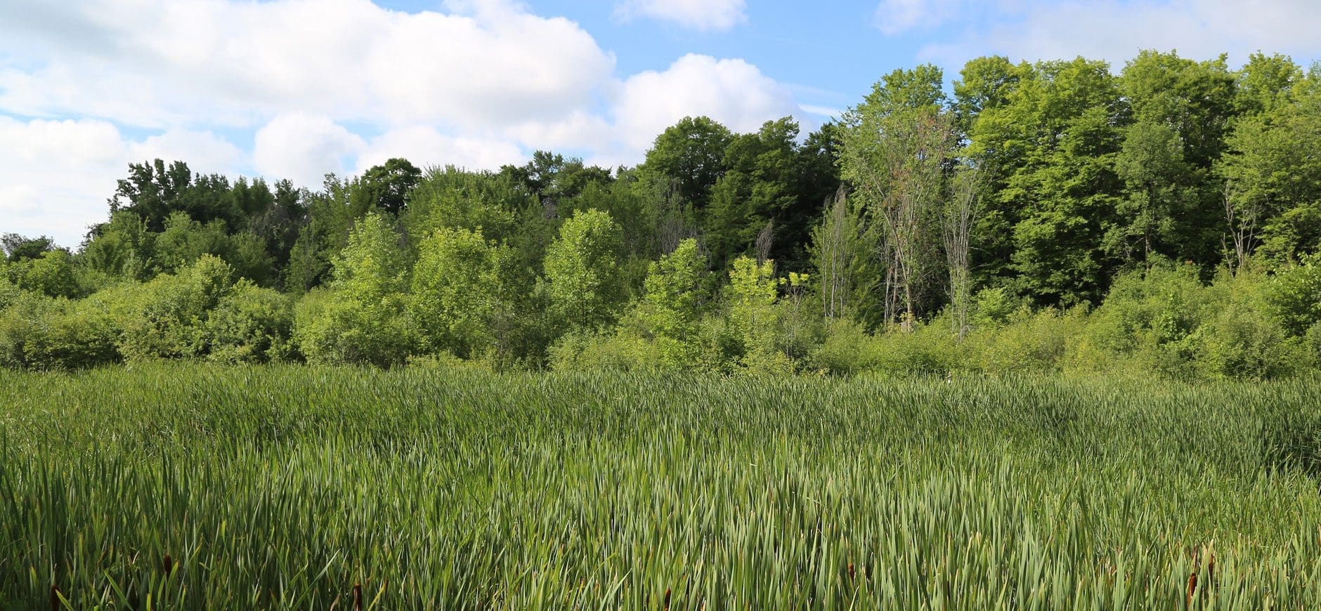 Applications — Ducks Unlimited Canada