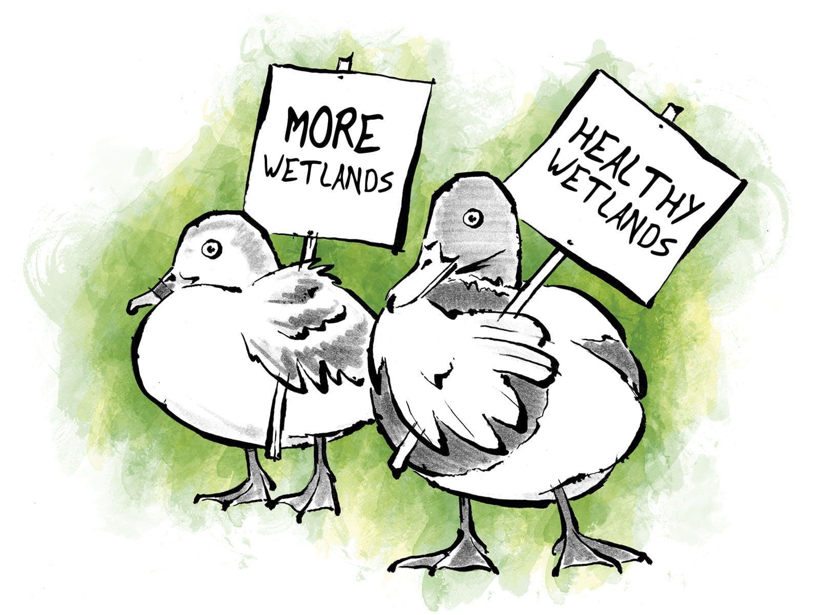 Campaigning for conservation in the federal election—DUC