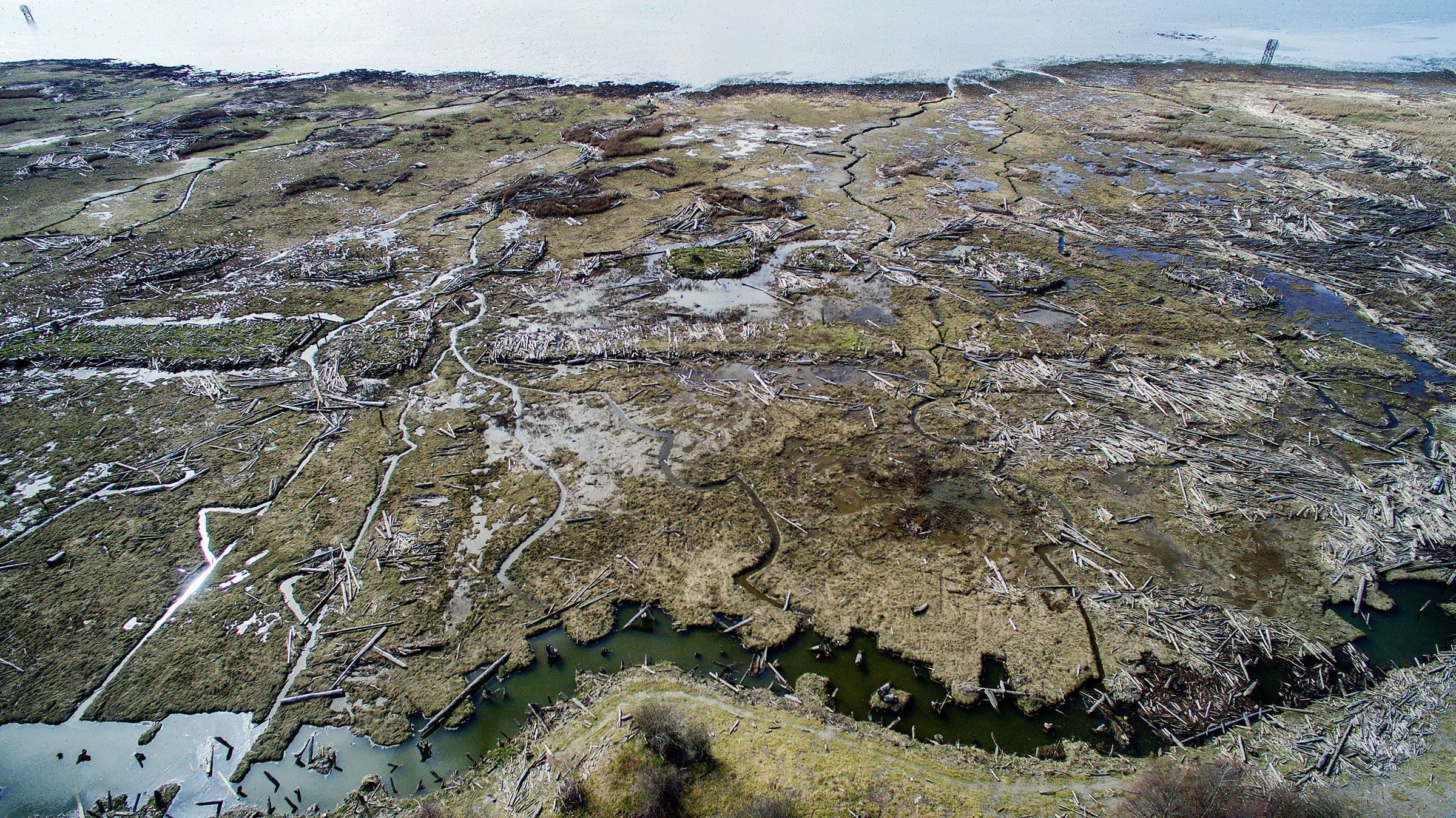 Partnership stems the tide of sea-level rise on the Fraser River Delta ...