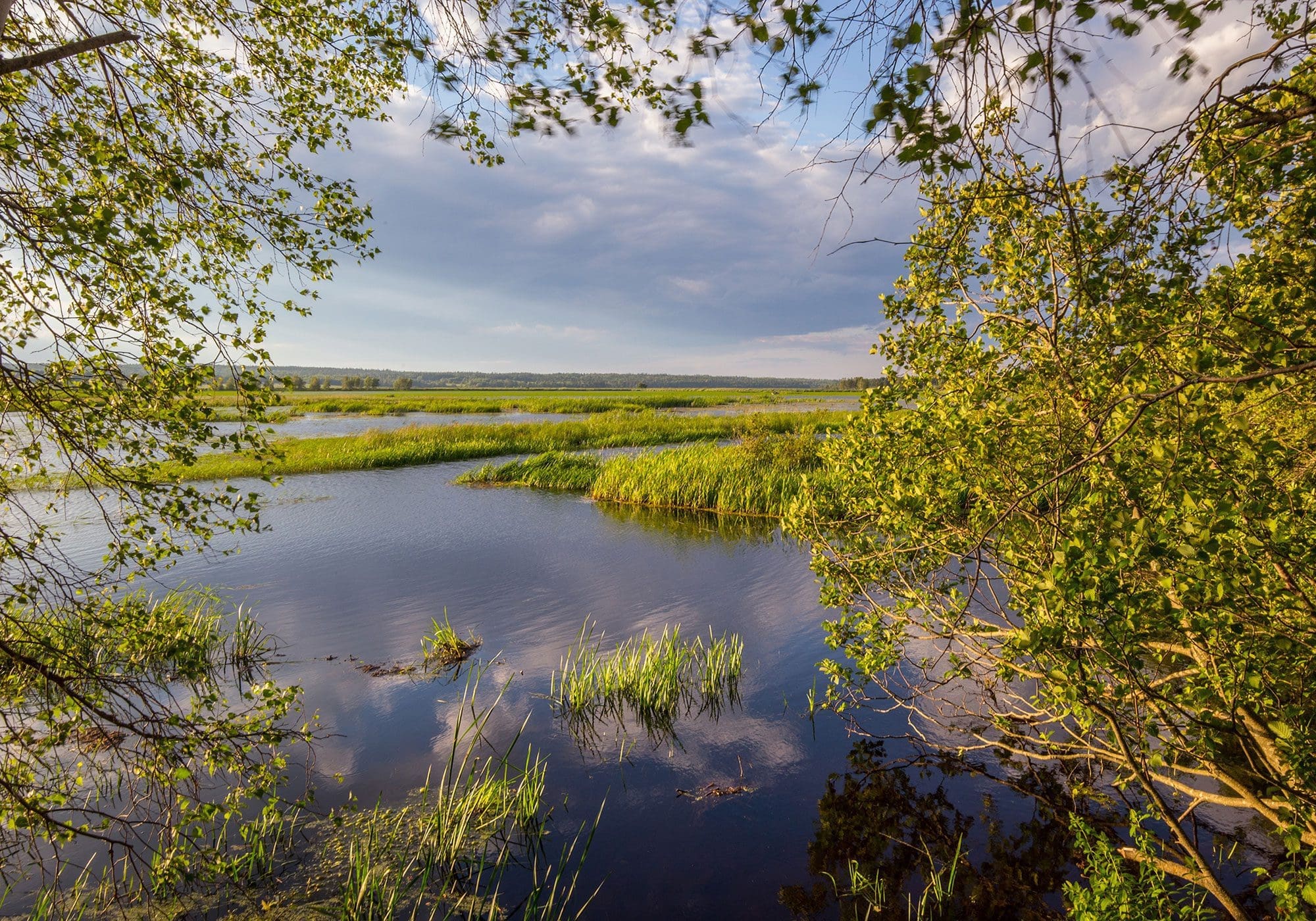 Lessons in adaptation help address sea-level rise at Musquash Marsh ...