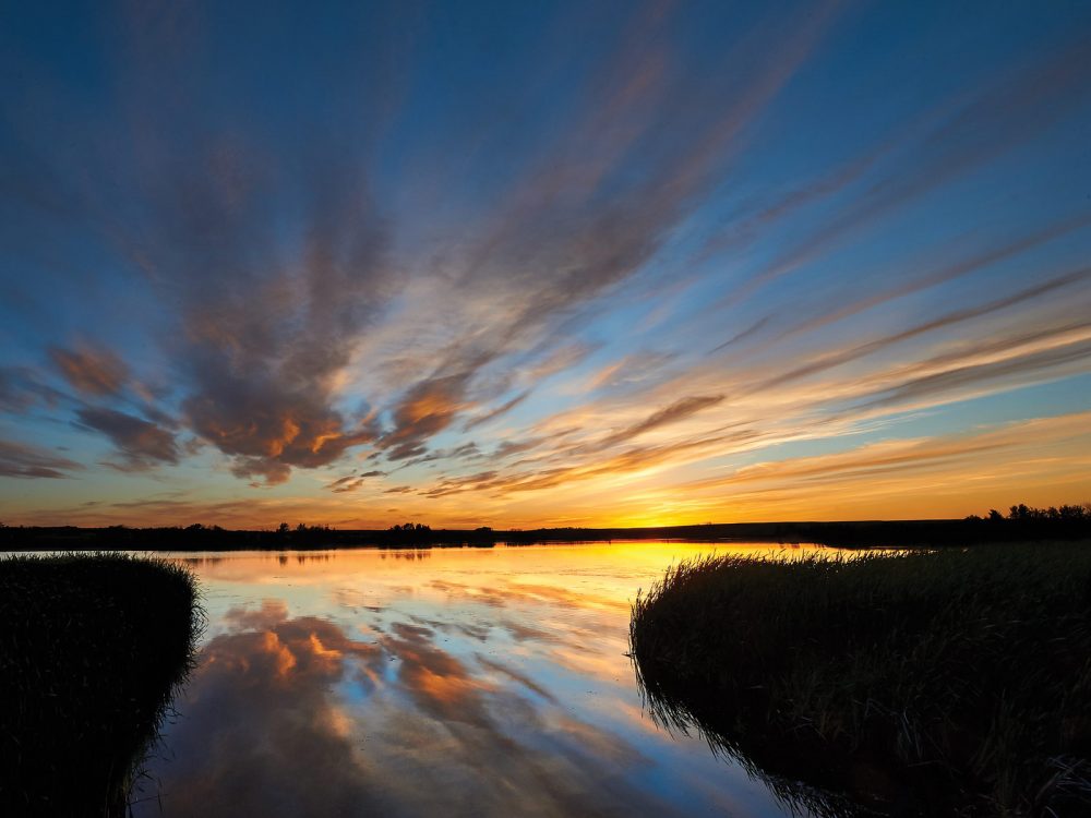 Conserving iconic Canadian landscapes—Ducks Unlimited Canada