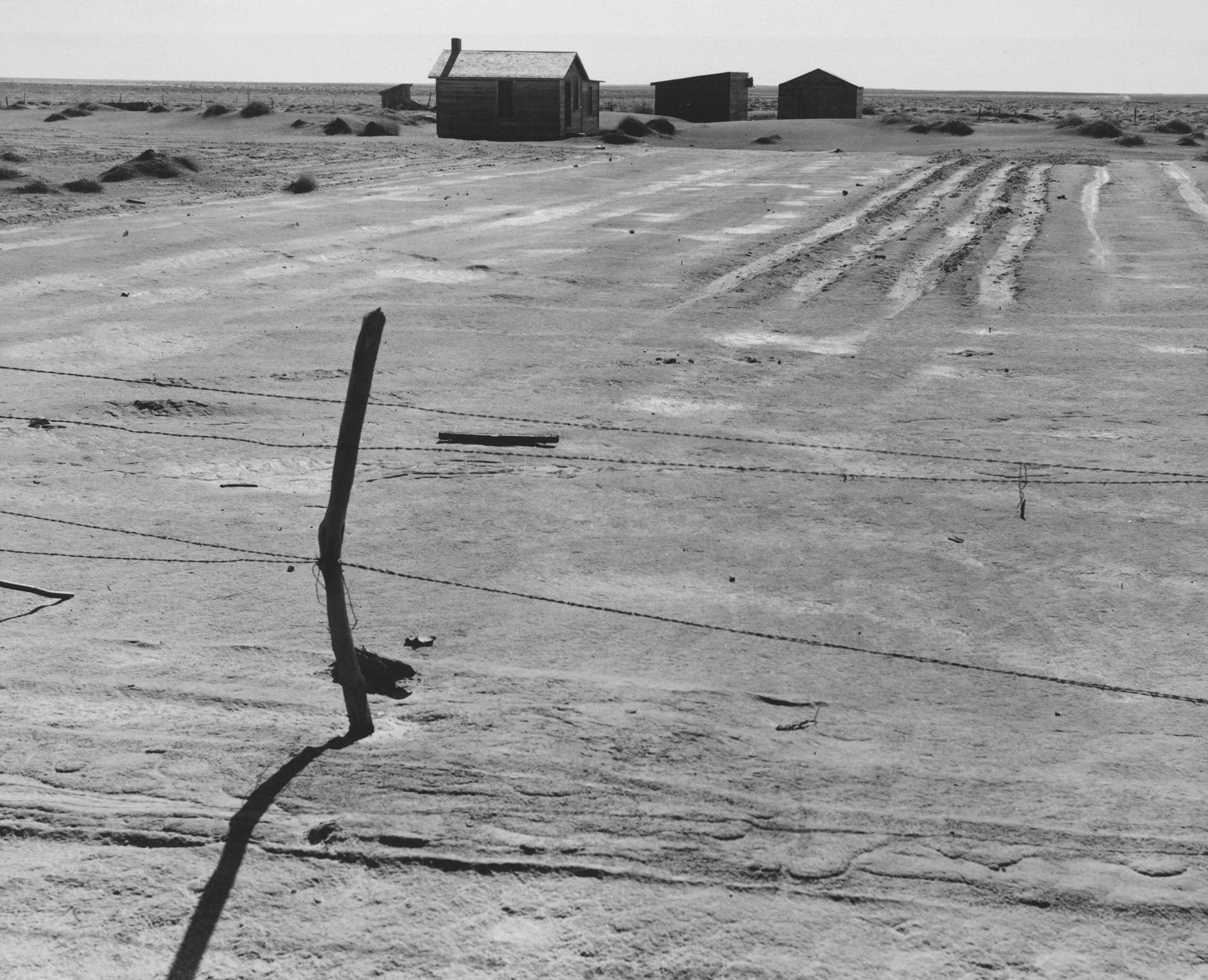 The Dust Bowl - Founding of Ducks Unlimited Canada — Ducks Unlimited Canada