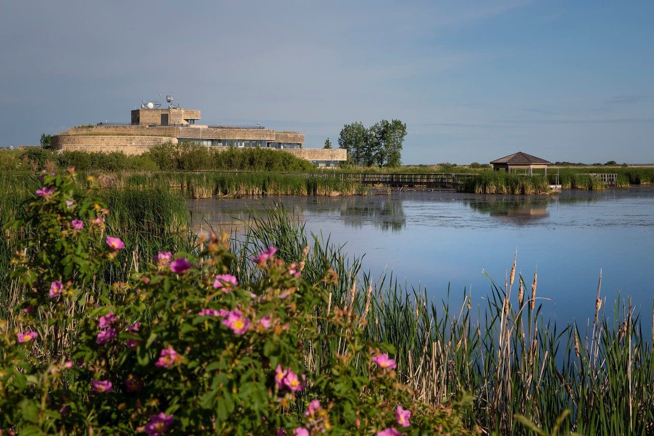 Say hello to the Harry J. Enns Wetland Discovery Centre — Ducks ...