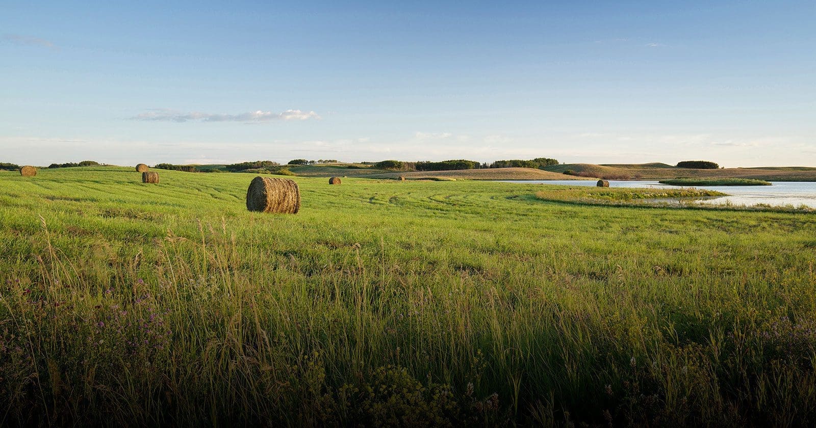 Alberta — Ducks Unlimited Canada