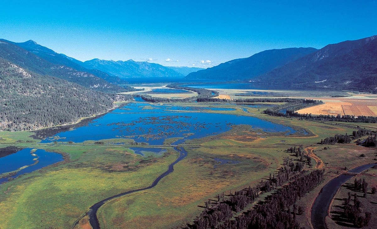 British Columbia estuary ranking improves with technology — Ducks ...