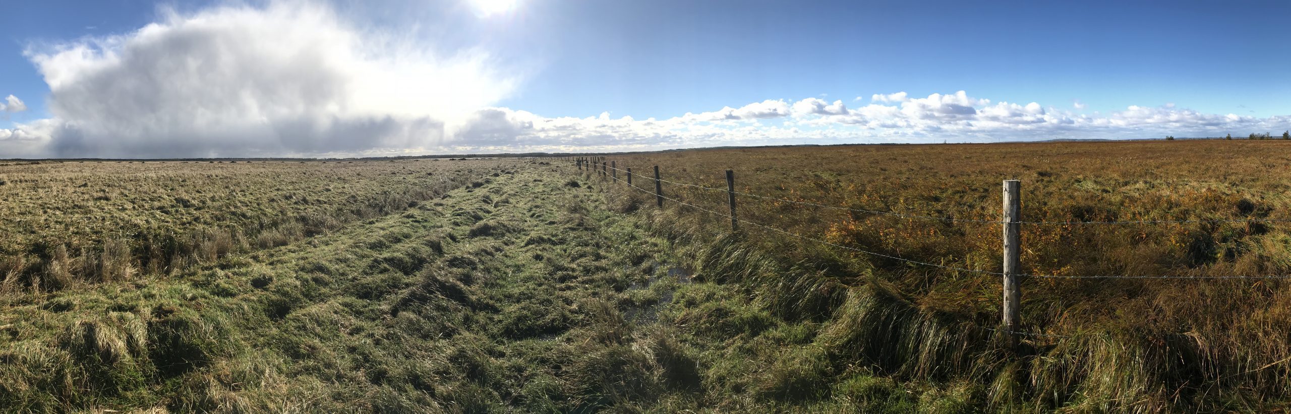 Community pasture helps farmers, cattle and wildlife — Ducks Unlimited ...