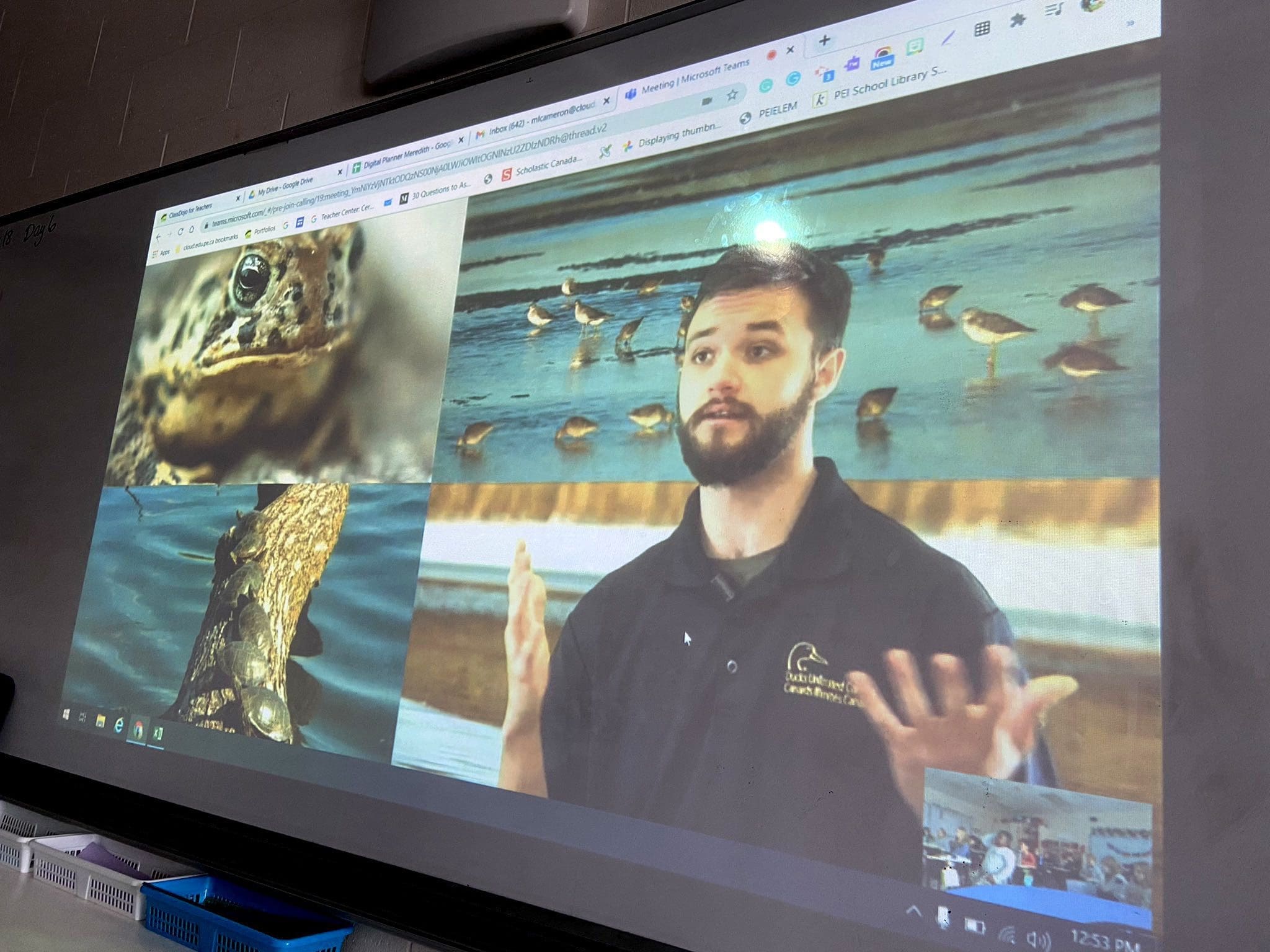 Virtual field trips bring nature to the classroom — Ducks Unlimited Canada