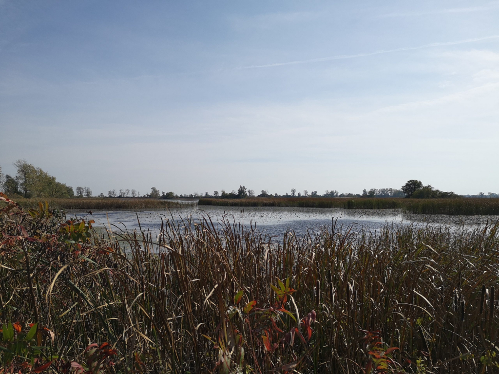 Duck & Run 2021 Photo Gallery — Ducks Unlimited Canada