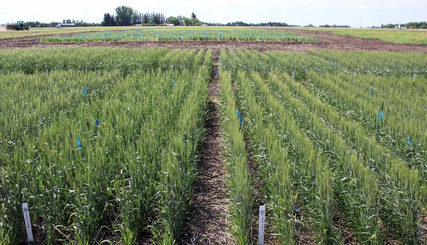 Saskatchewan — Ducks Unlimited Canada