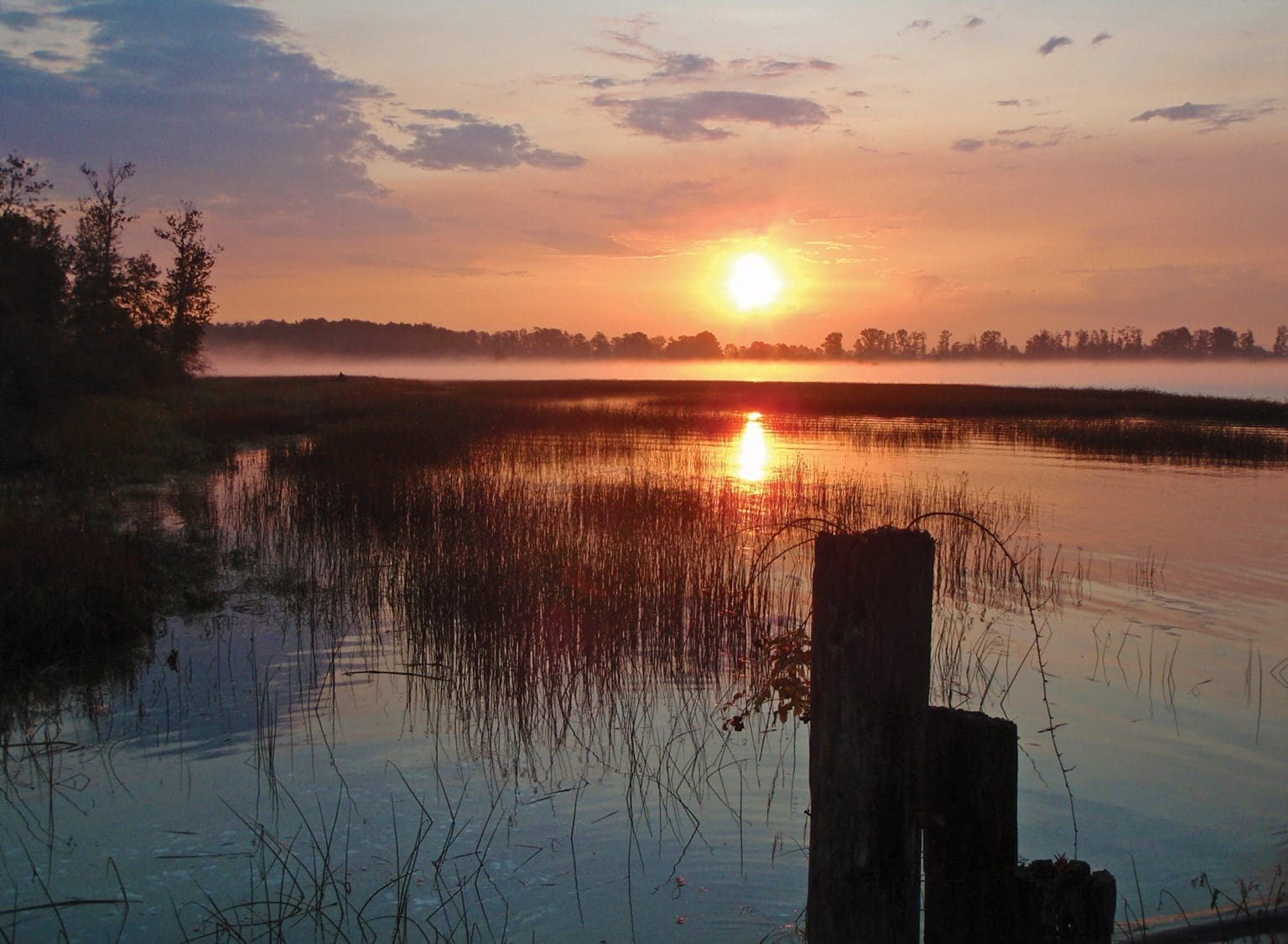 Fraser River Estuary — Ducks Unlimited Canada