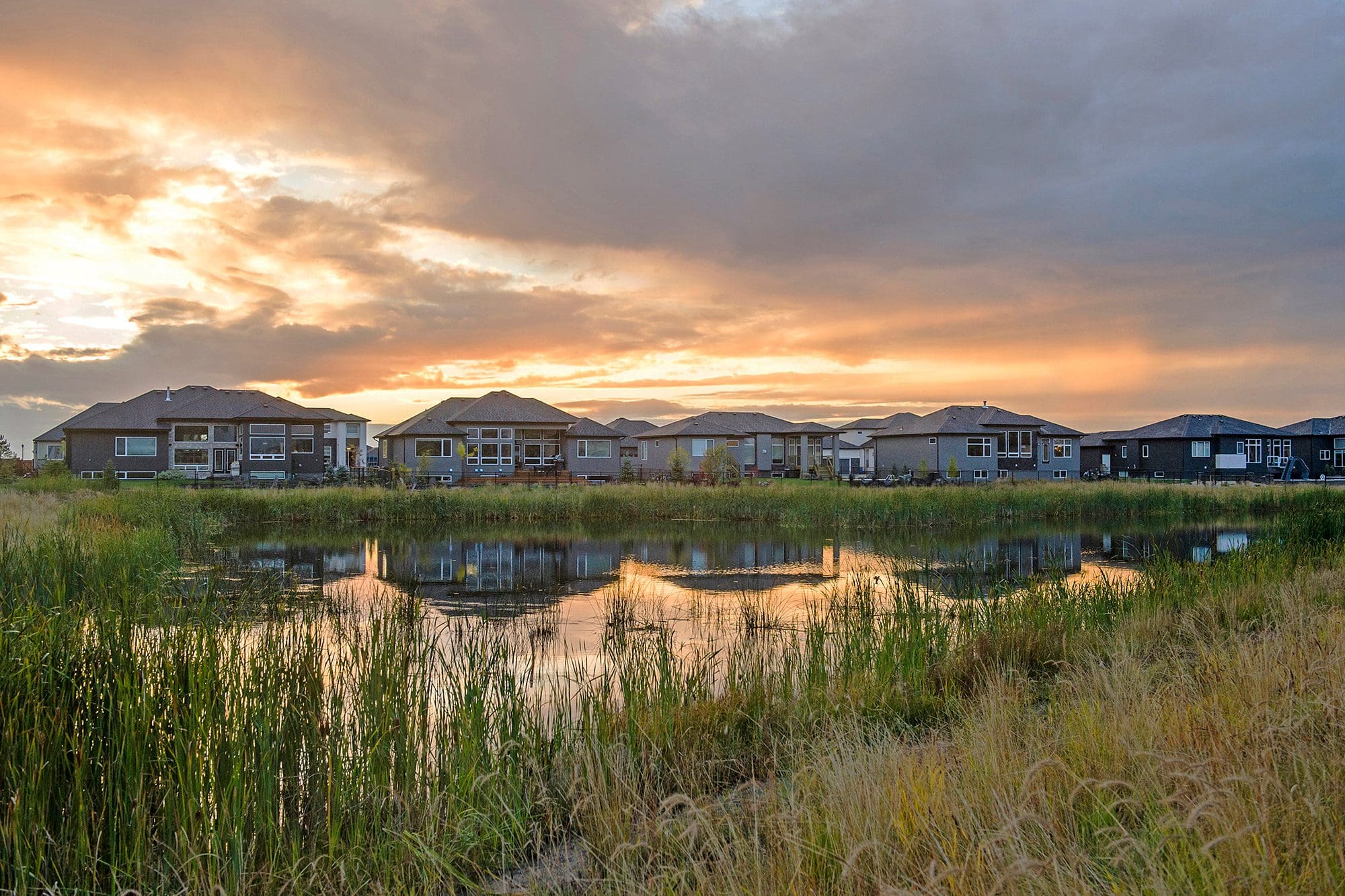 Nature Force: a new climate resilience initiative using natural ...