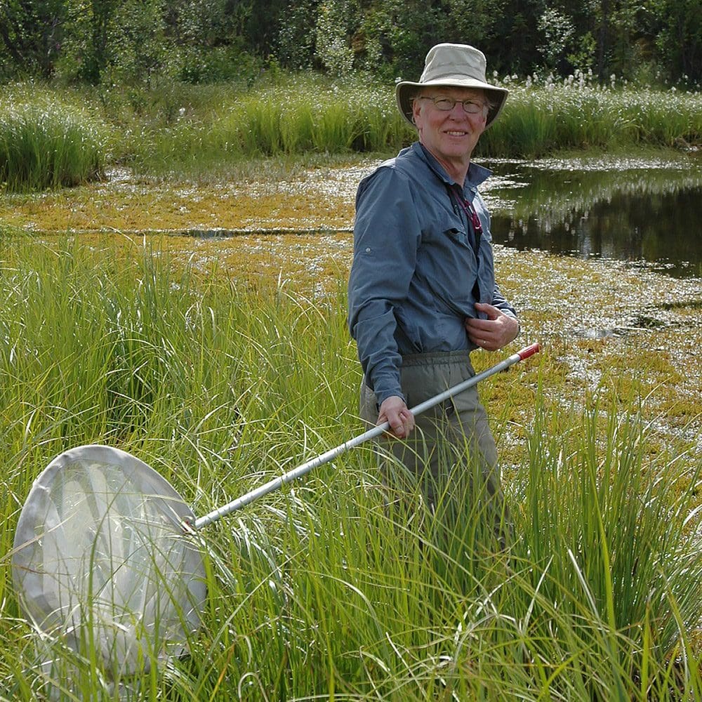 Conservation needs to consider insects like the iconic dragonfly ...