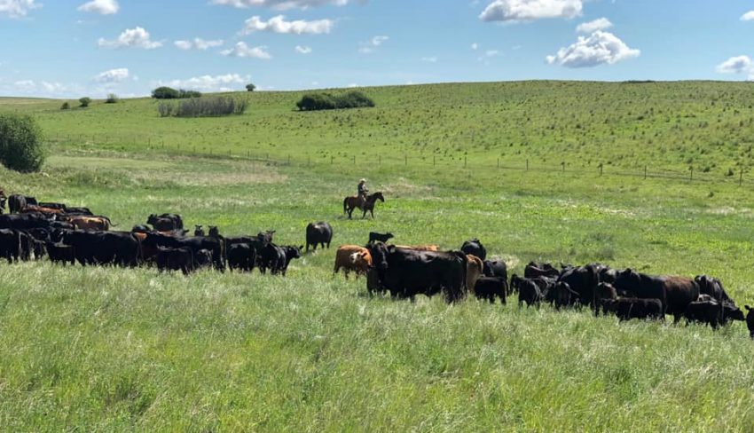 Saskatchewan — Ducks Unlimited Canada