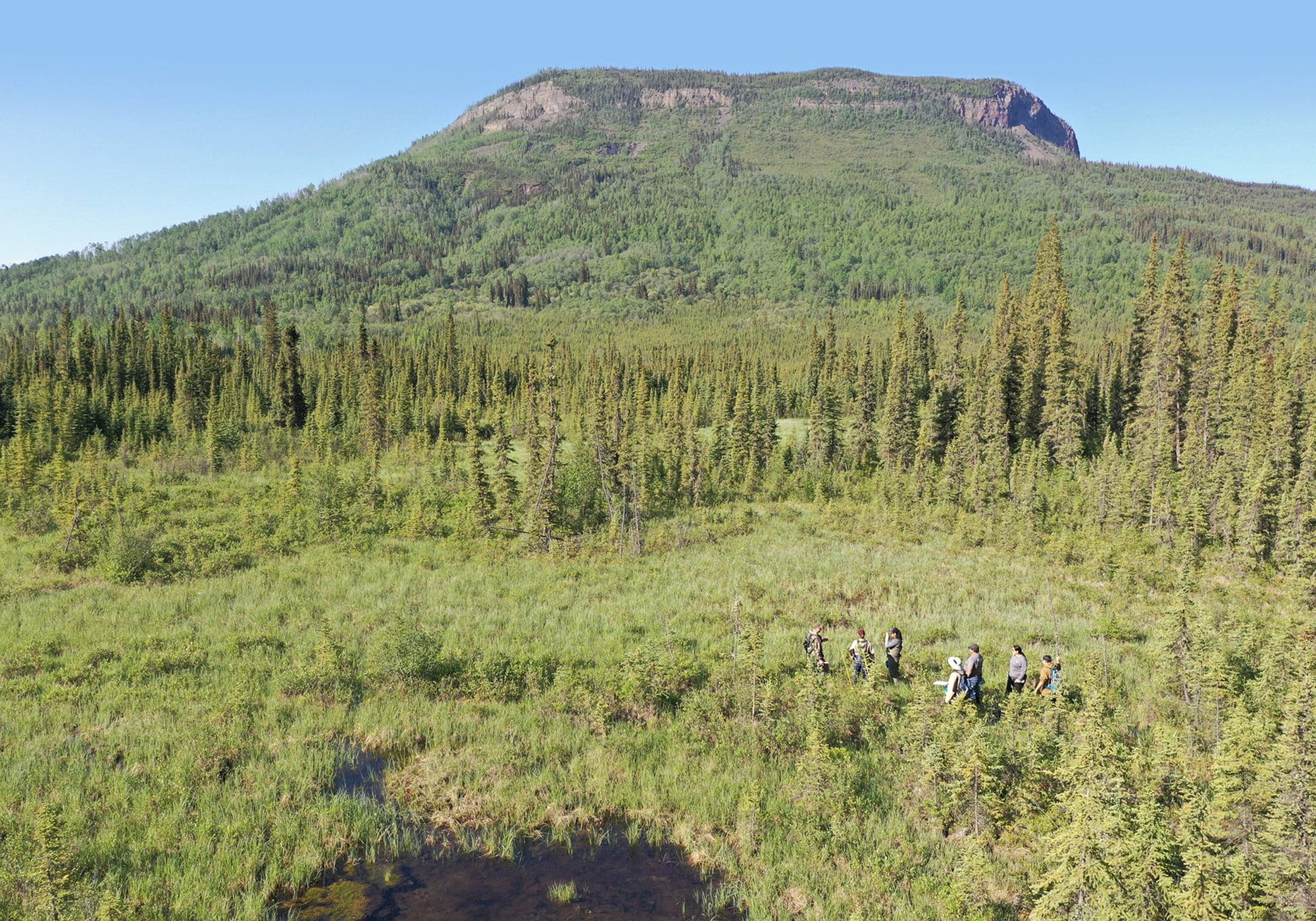 Wetland mapping to support Indigenous-led conservation in northern B.C ...