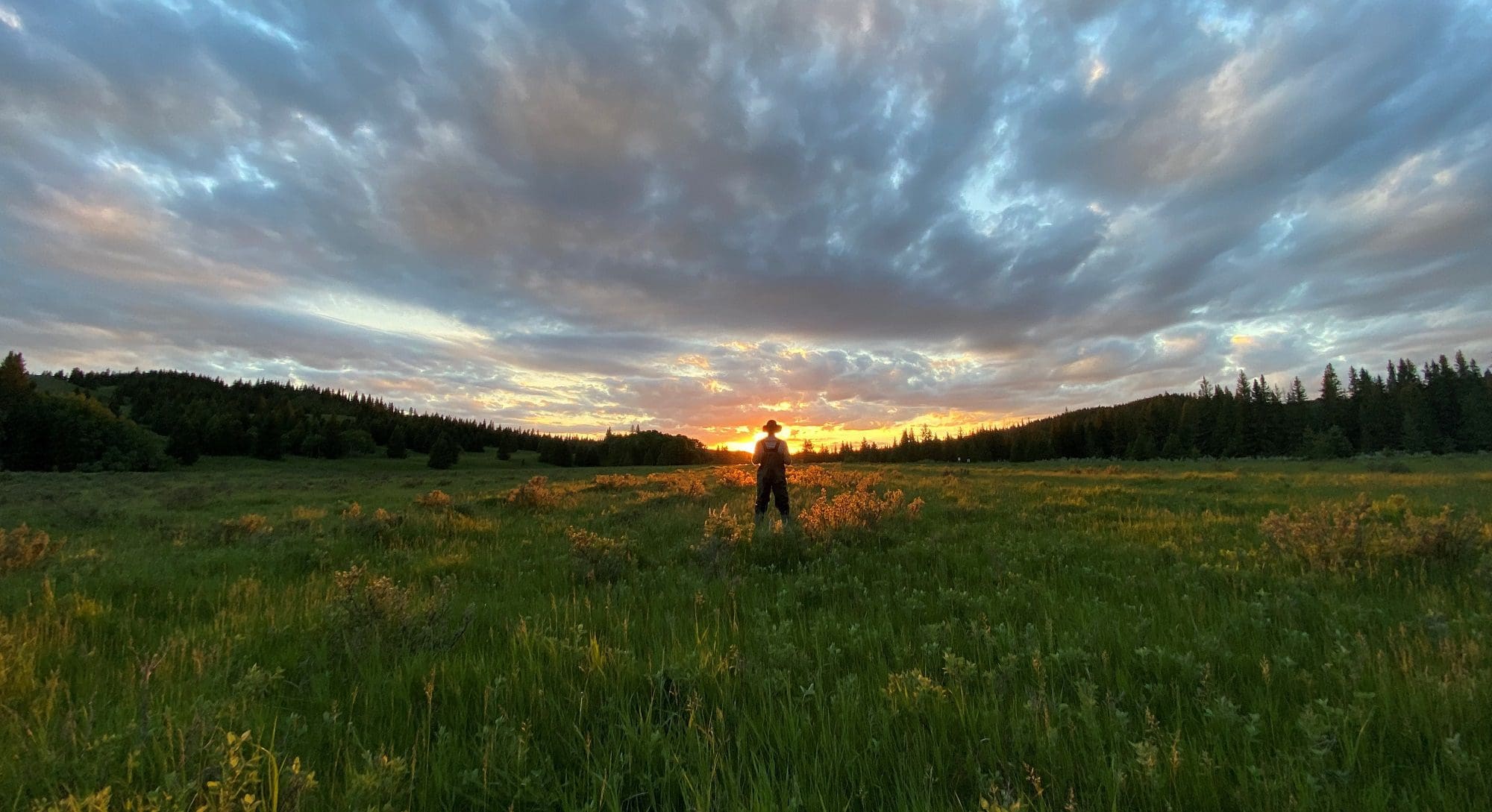 Early nature experiences ignite passion for marine life — Ducks ...