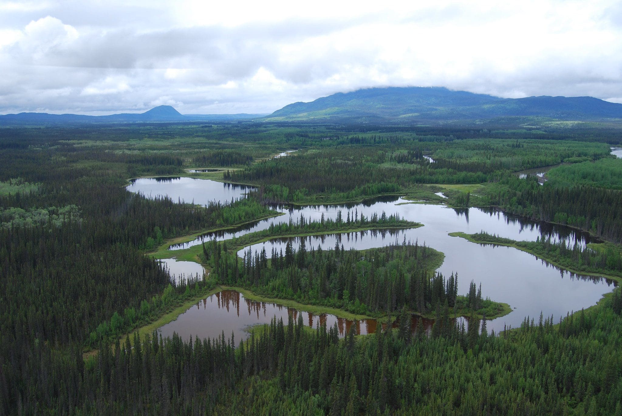 Ducks Unlimited Canada celebrates Government of Yukon’s newly released ...
