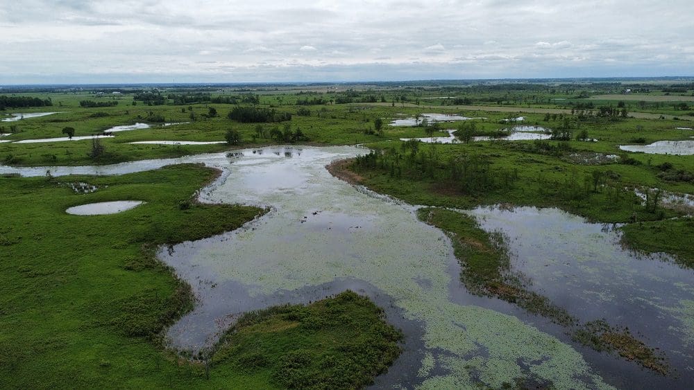 Atocas Bay: Nature's gift — Ducks Unlimited Canada
