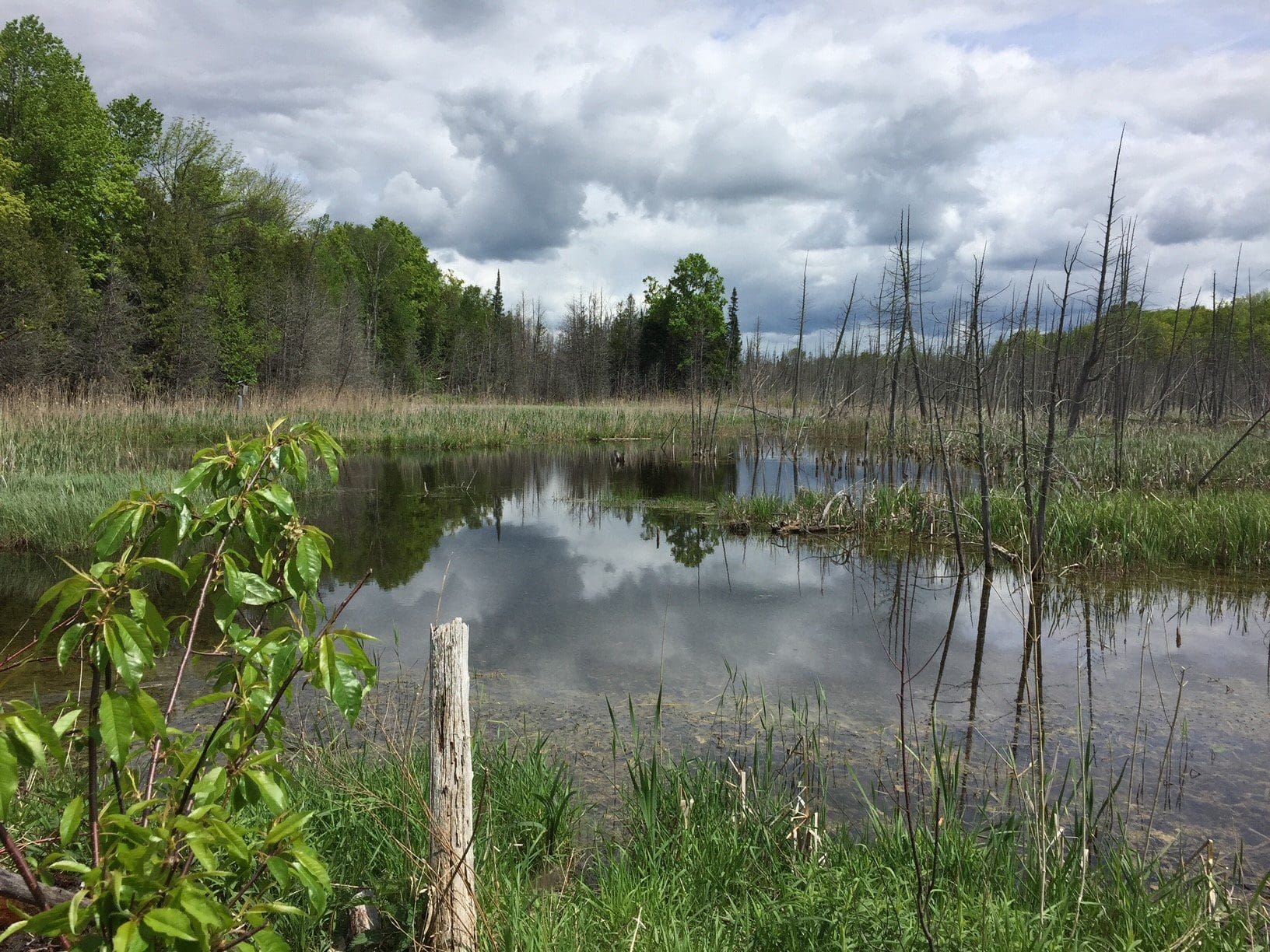 The Scott-Newton Wetland: A legacy built on a love of nature and ...