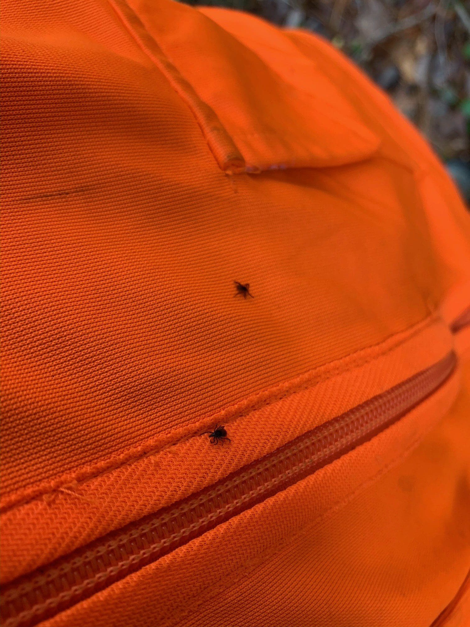 Tick Talk: Tips for keeping ticks from catching a ride as you explore ...