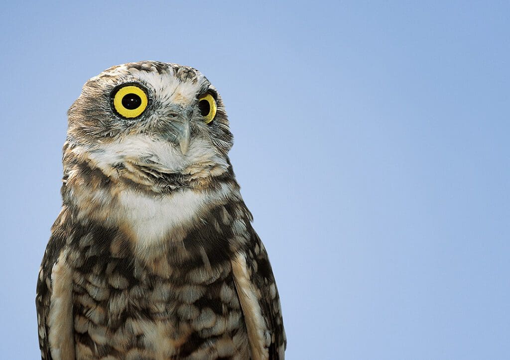 McIntyre Ranch — Ducks Unlimited Canada