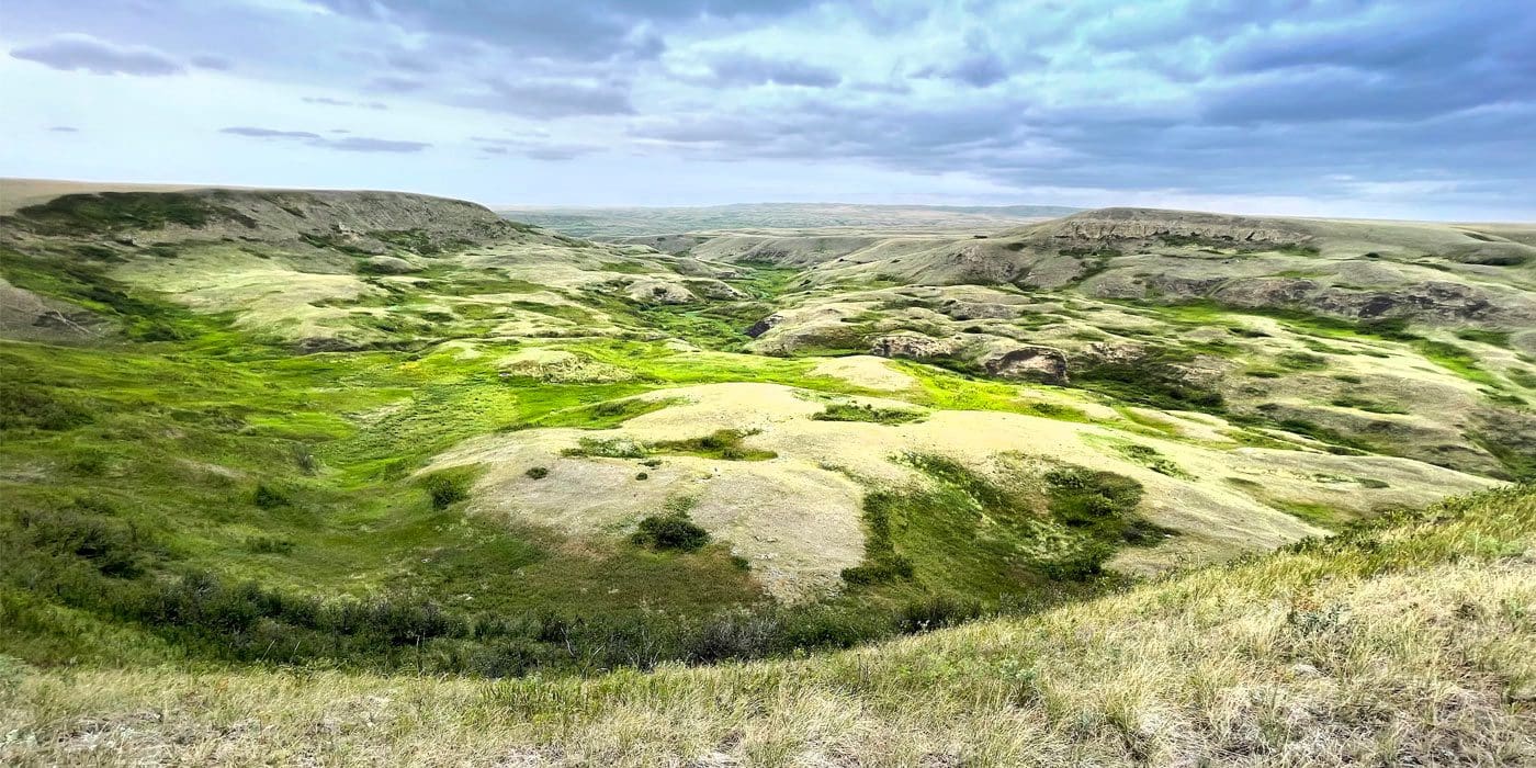 McIntyre Ranch — Ducks Unlimited Canada