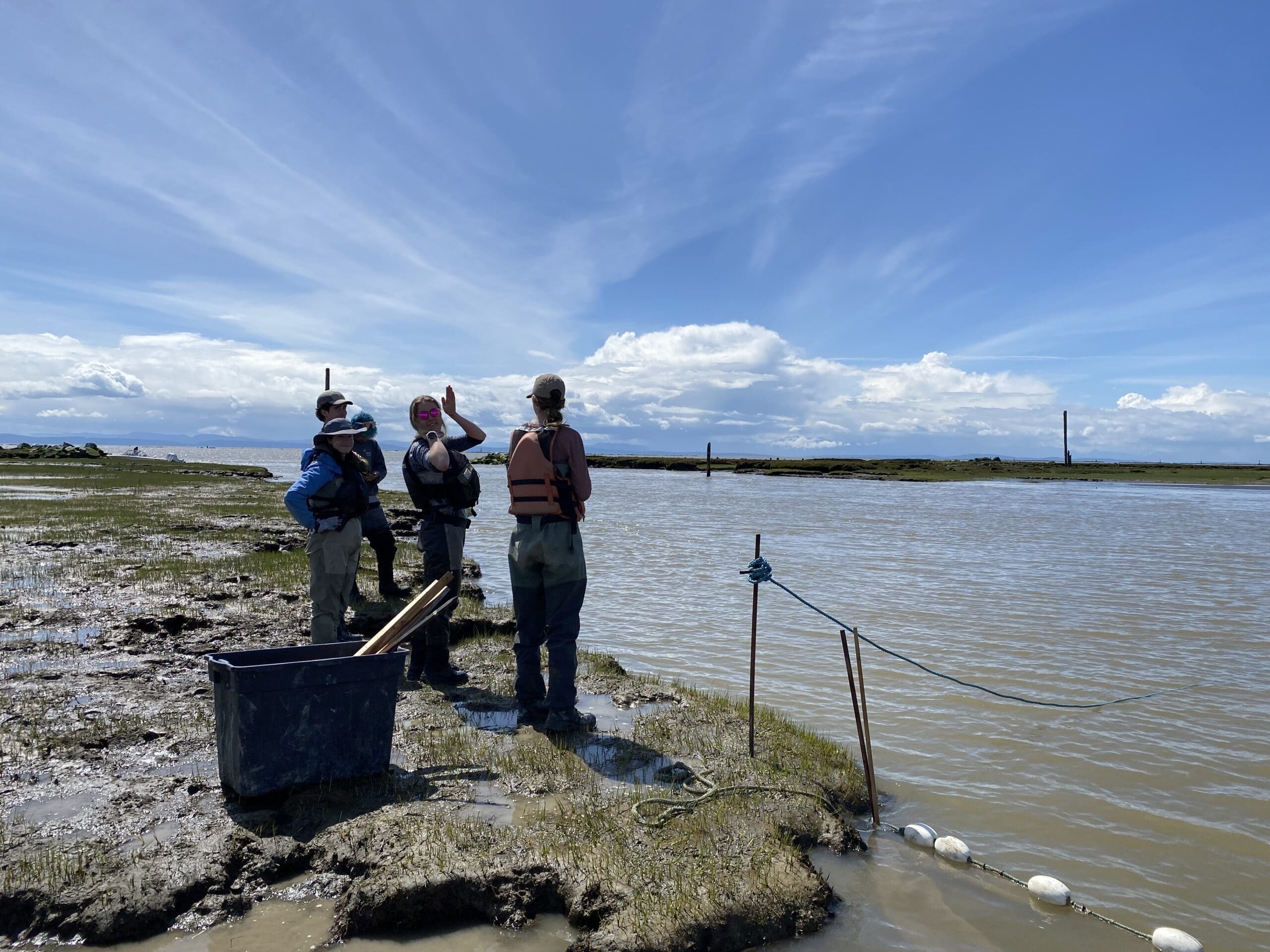 Bringing estuary habitats back to life, one partnership at a time ...