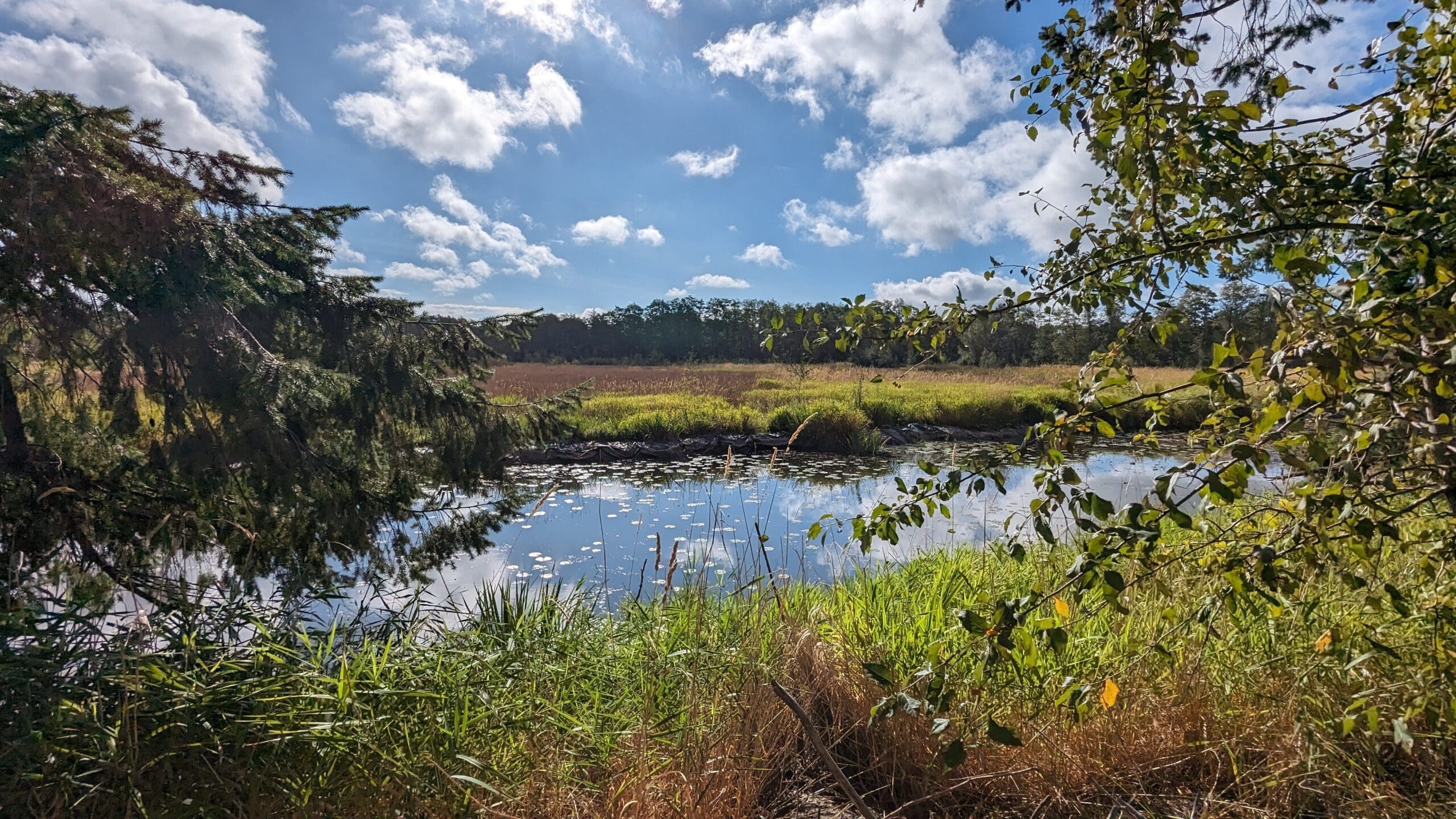Ducks Unlimited Canada celebrates the Government of British Columbia’s ...