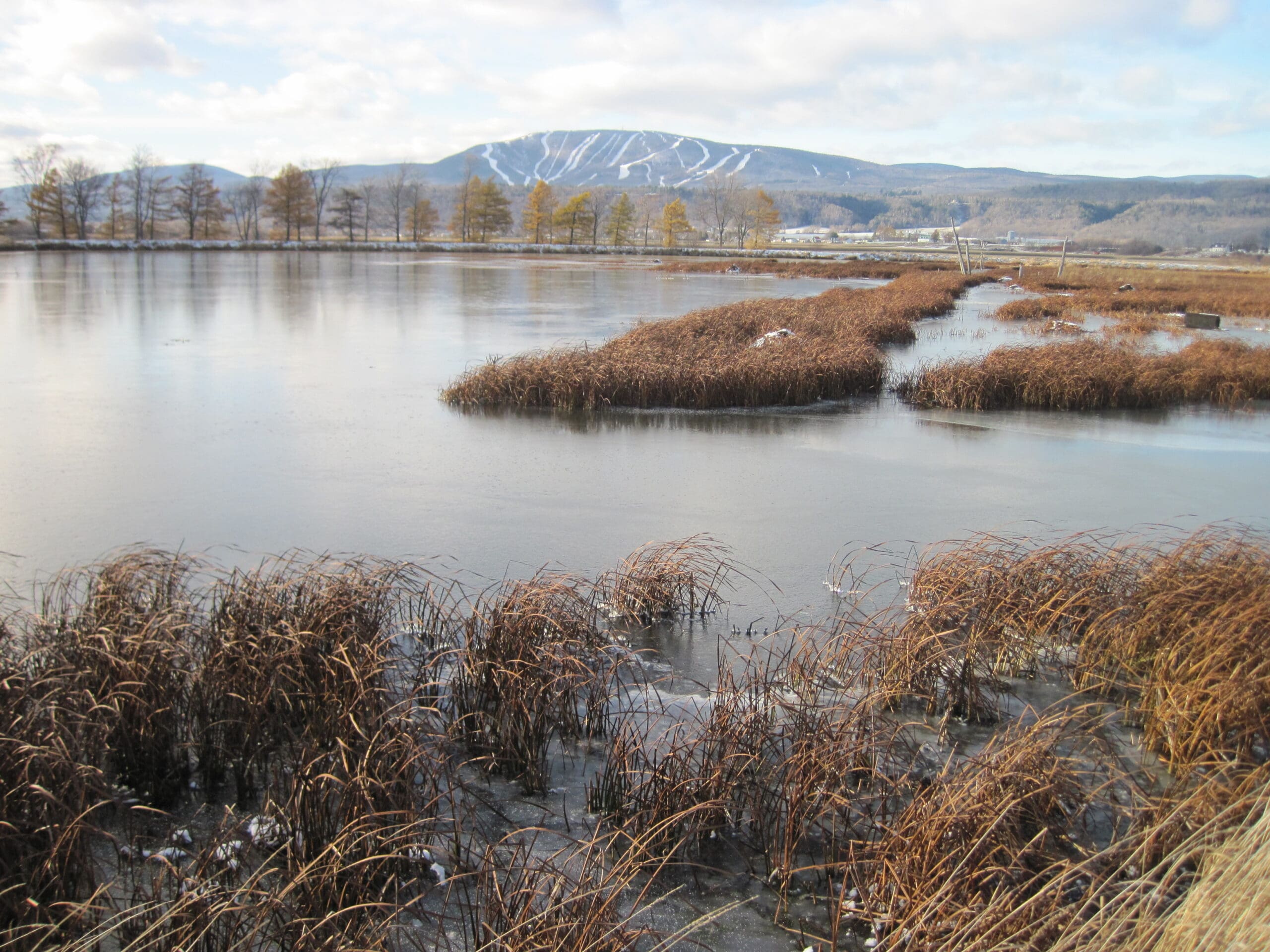 Mission accomplie : assurer un avenir durable aux marais des réserves ...