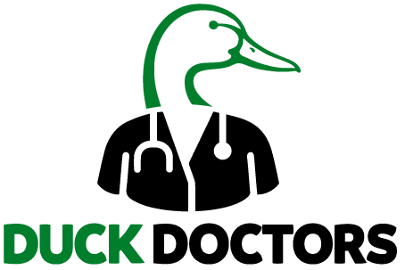 The Duck Doctors are in, sharing insights from the wild! — Ducks ...
