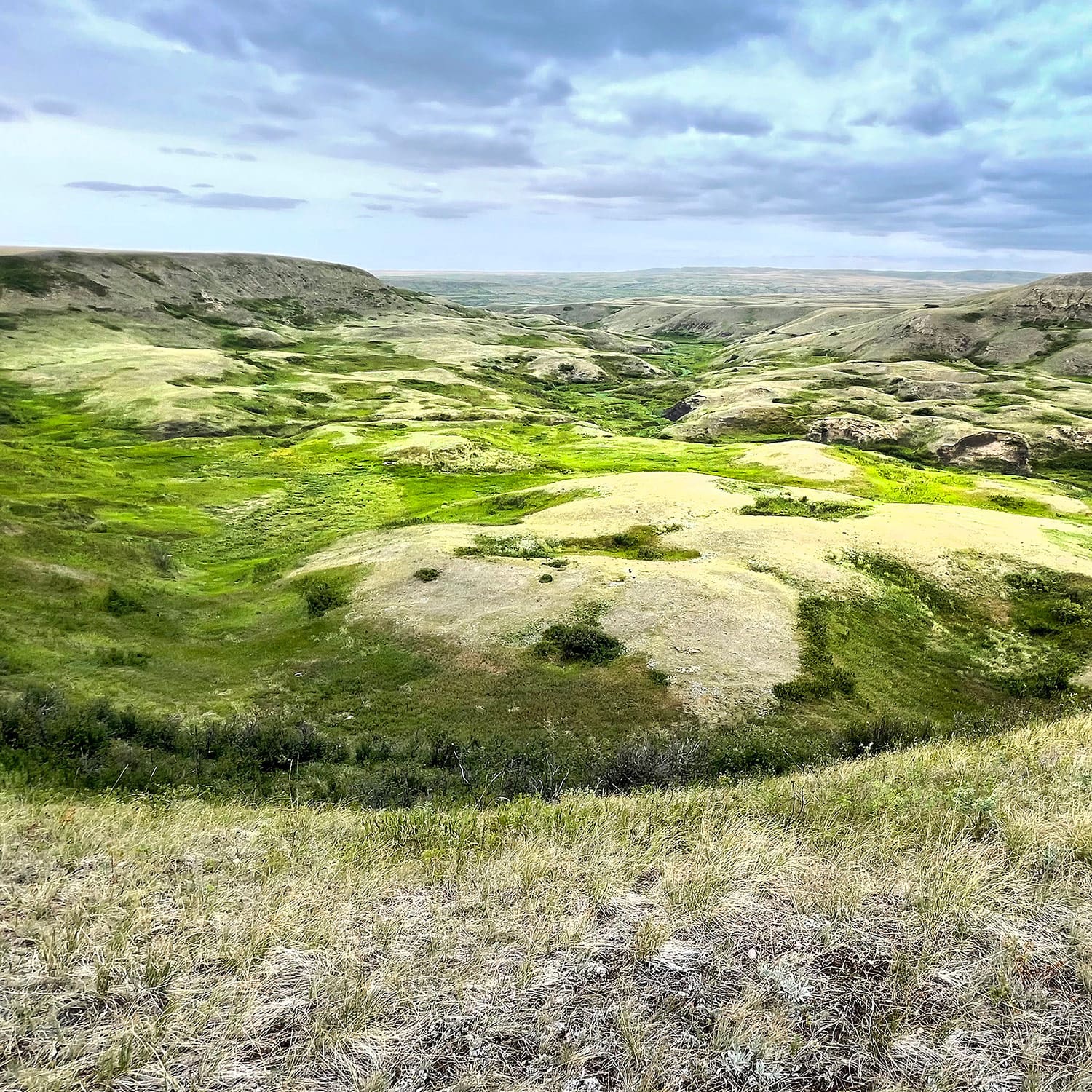 Conservation at McIntyre Ranch — Ducks Unlimited Canada