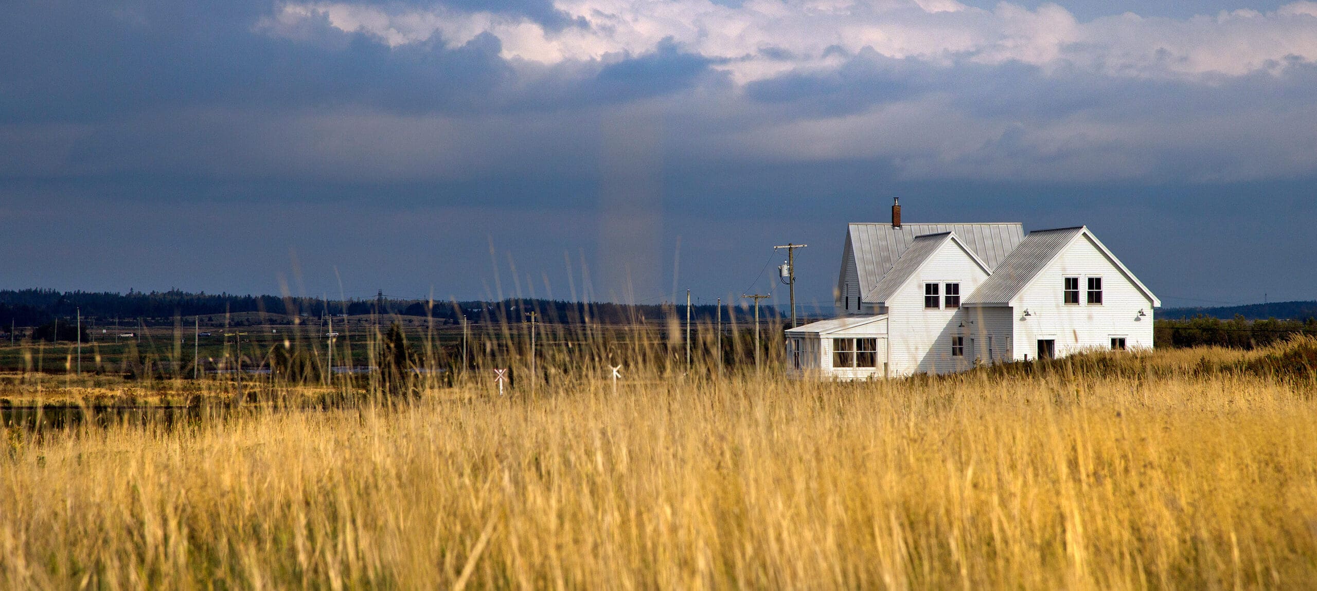 Explore Wetlands in New Brunswick — Ducks Unlimited Canada