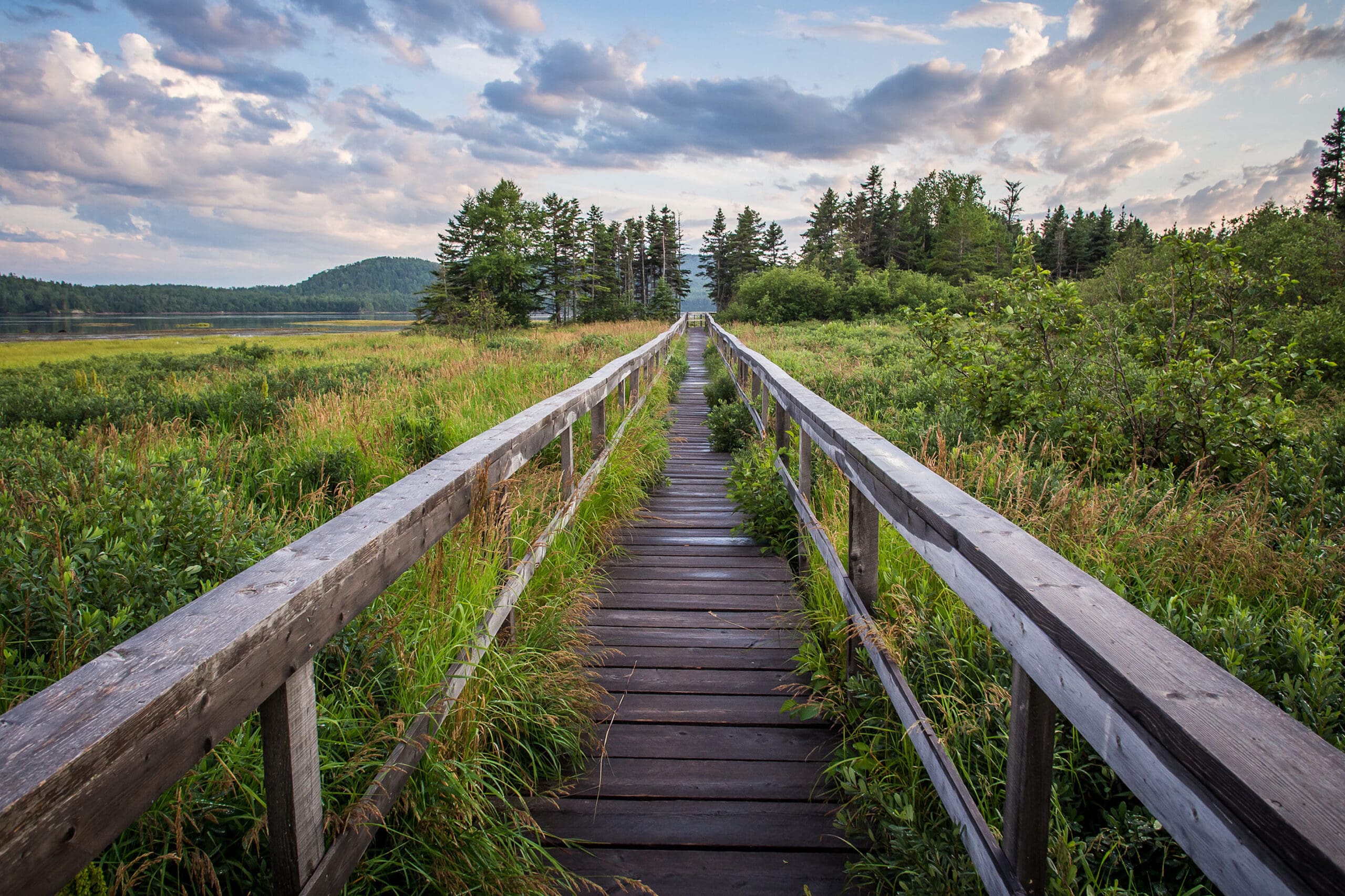 Explore Wetlands in Newfoundland & Labrador — Ducks Unlimited Canada