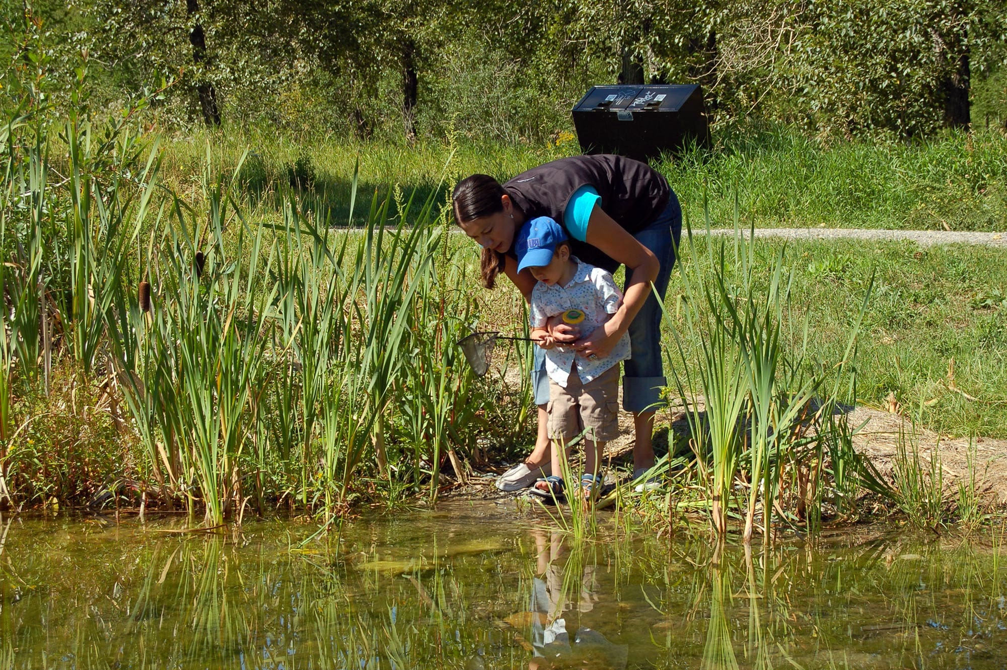 Explore Wetlands in Alberta — Ducks Unlimited Canada