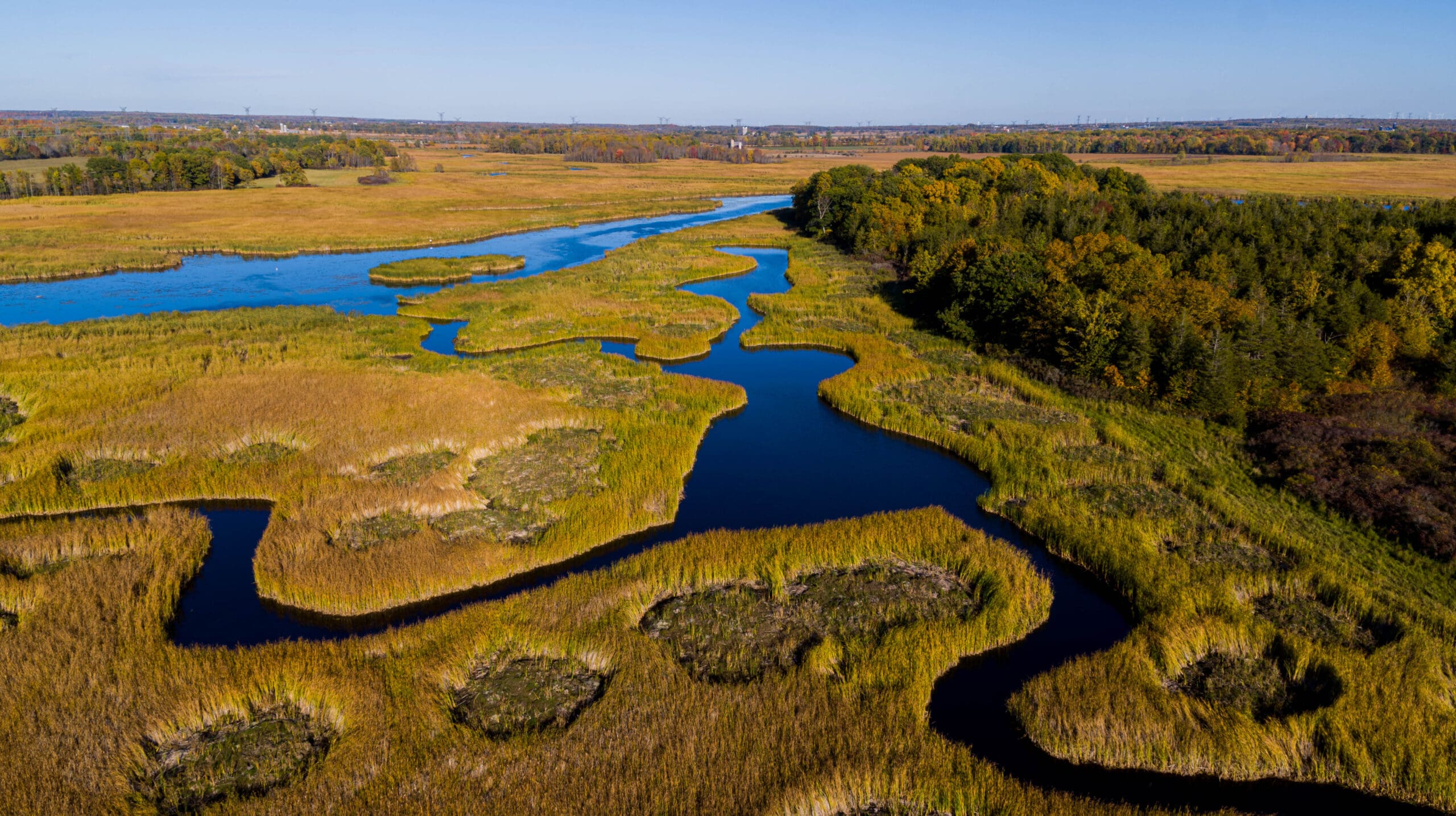 Contact Conservation PRO Ontario — Ducks Unlimited Canada