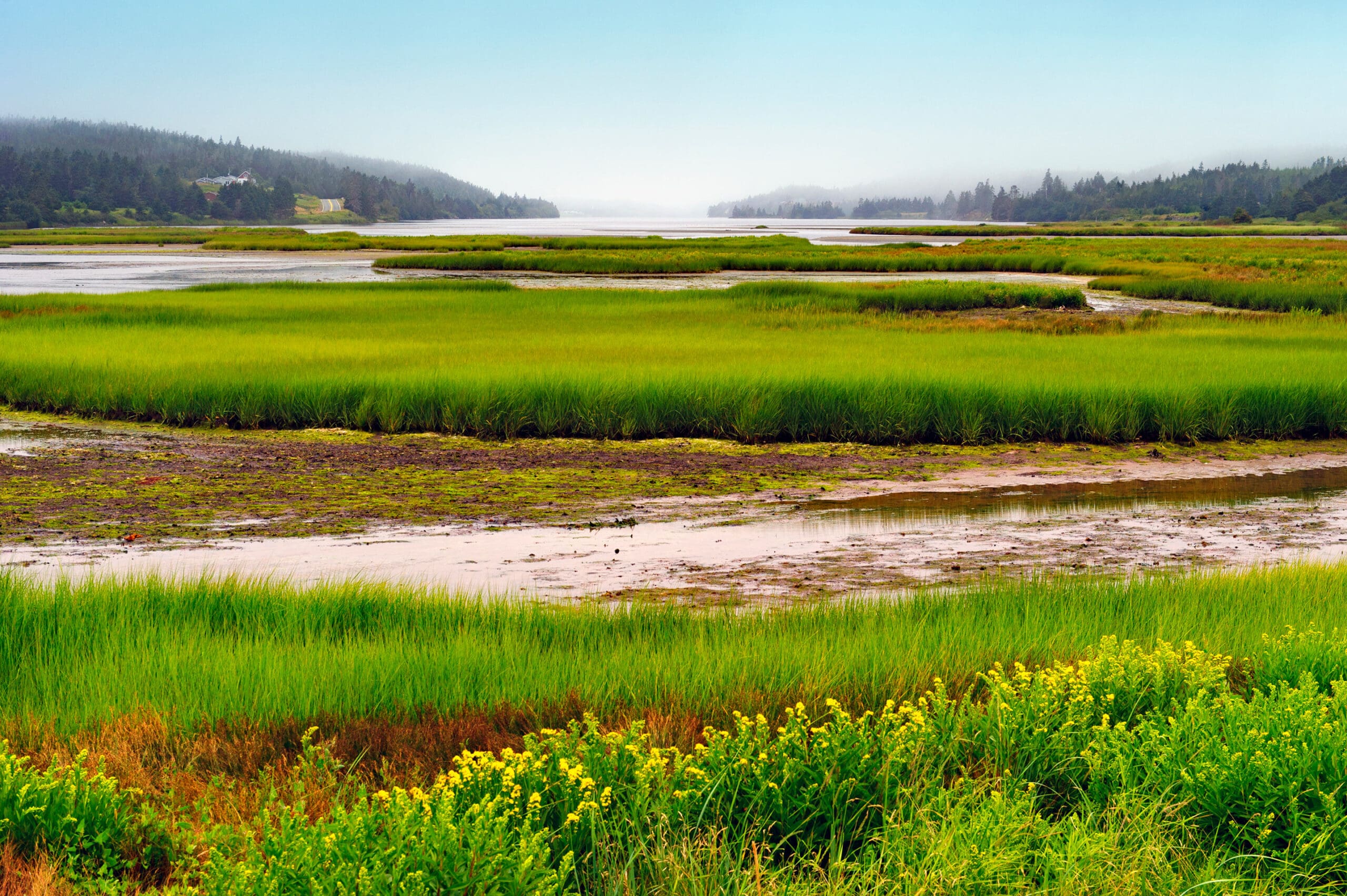 Explore Wetlands in Nova Scotia — Ducks Unlimited Canada