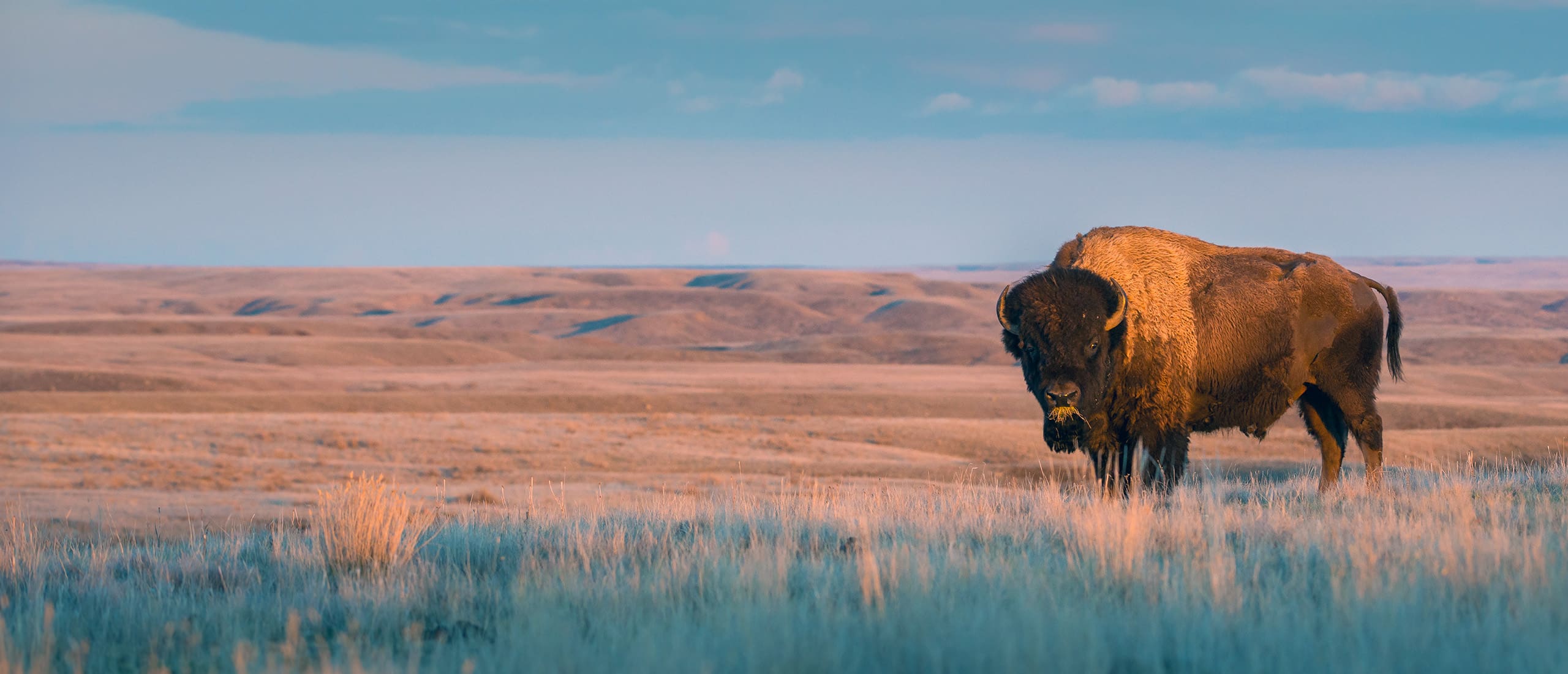 Conservation in Saskatchewan — Ducks Unlimited Canada