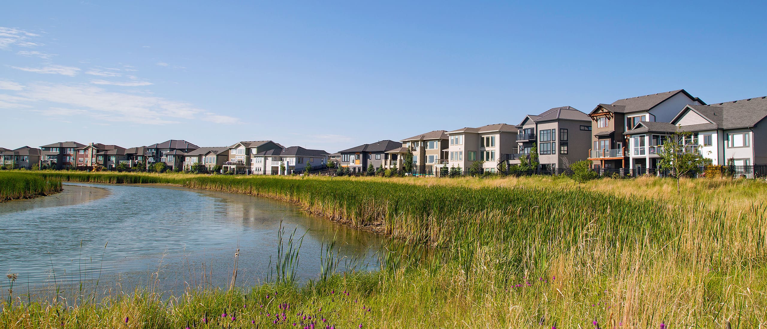 Sustainable Solutions — Ducks Unlimited Canada