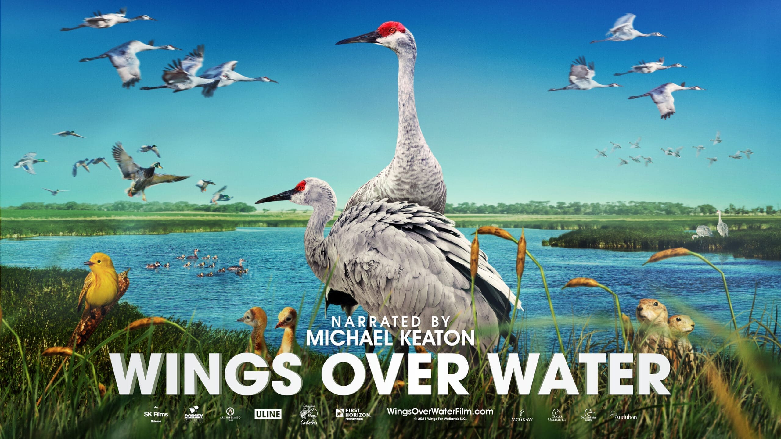 Award-winning Wings Over Water Imax® Film released for special one-day ...