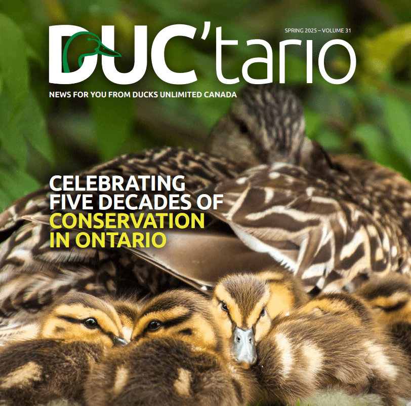 Ontario News from Ducks Unlimited Canada — Ducks Unlimited Canada