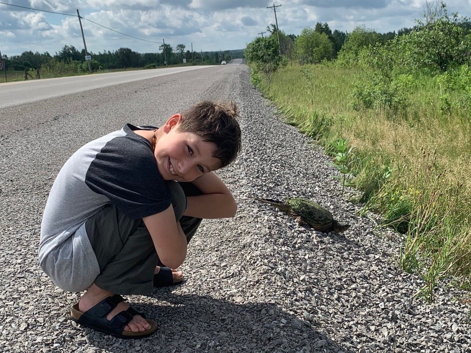 Five Magnificent Turtles That Need Your Help — Ducks Unlimited Canada